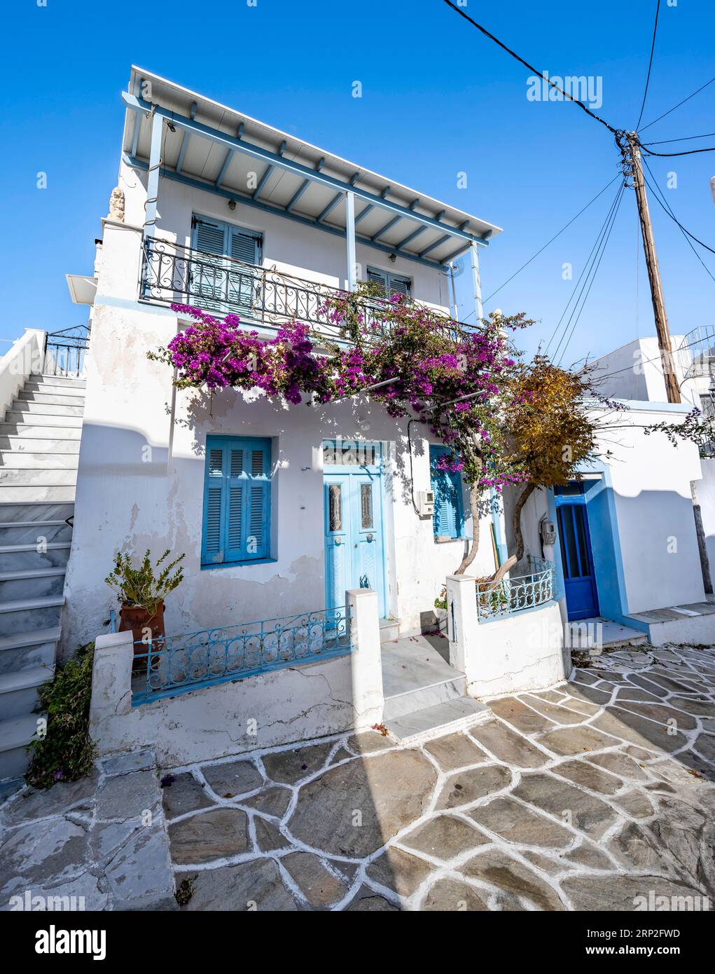 White Cycladic houses with blue doors and windows and bougainvillea ...