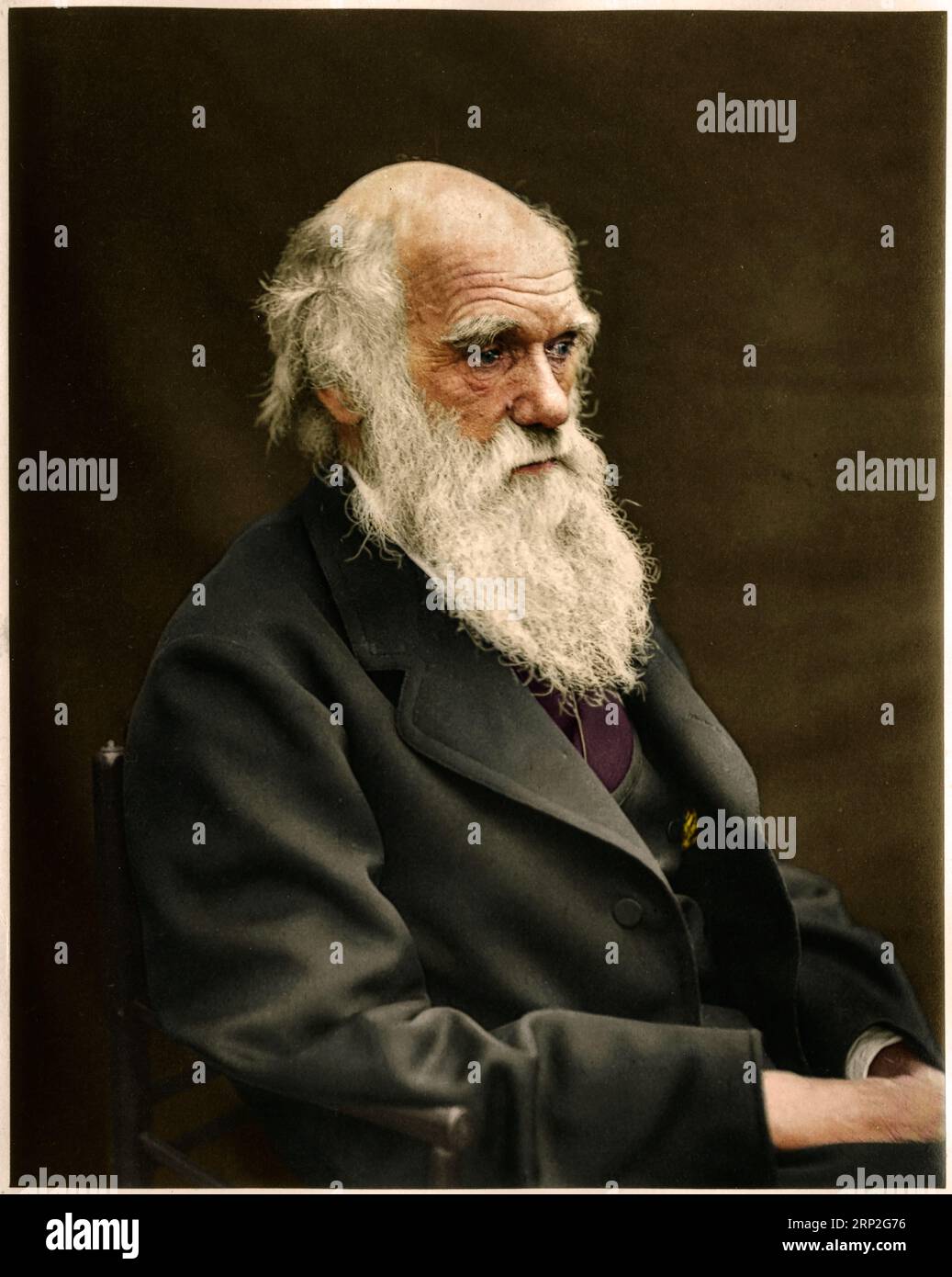 Charles Darwin. Photograph of Charles Darwin taken around 1874 by ...