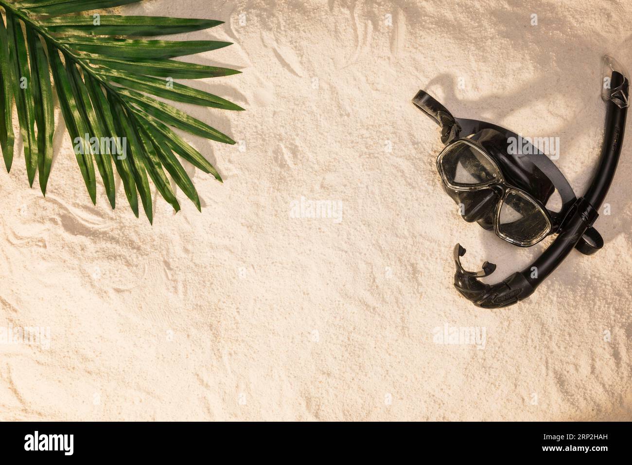 Summer layout palm tree leaf swimming mask Stock Photo - Alamy