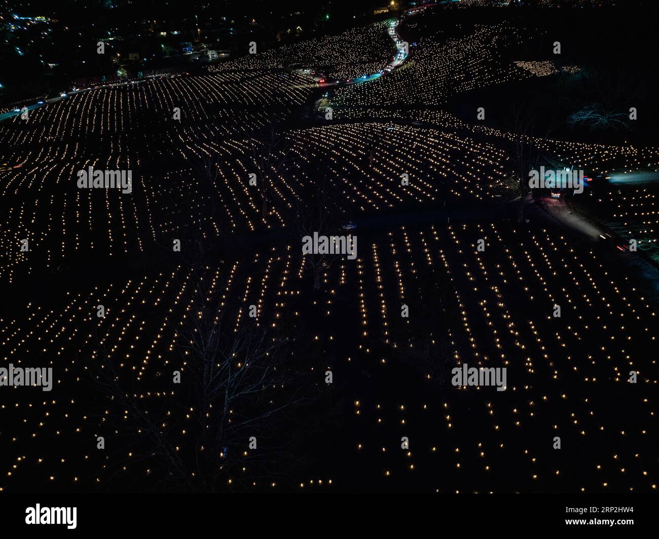 Aerial view of a picturesque landscape featuring an array of leafy ...