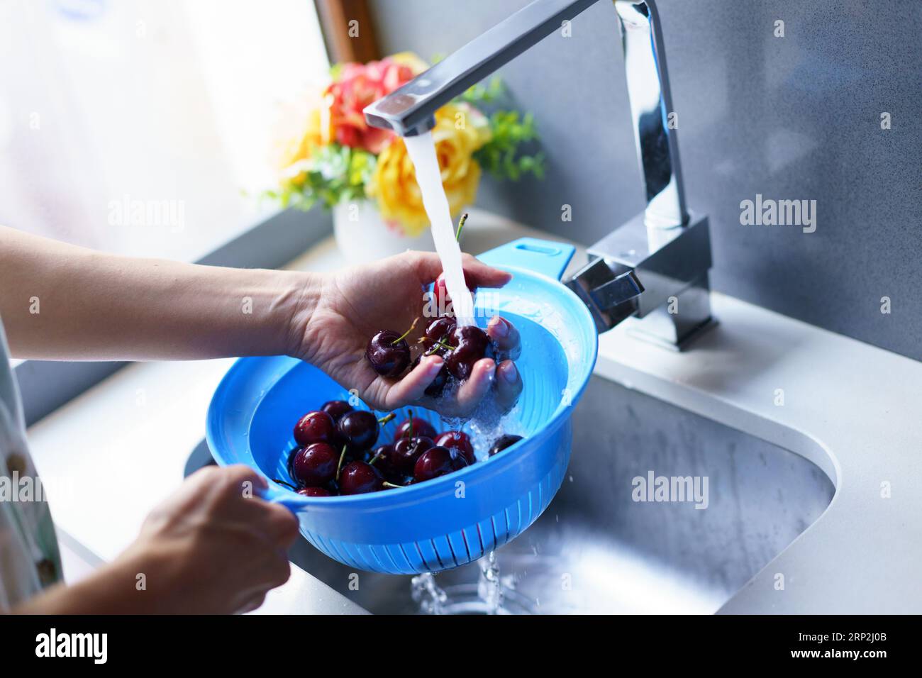 Anonymous woman washing cherries in sink Stock Photo - Alamy