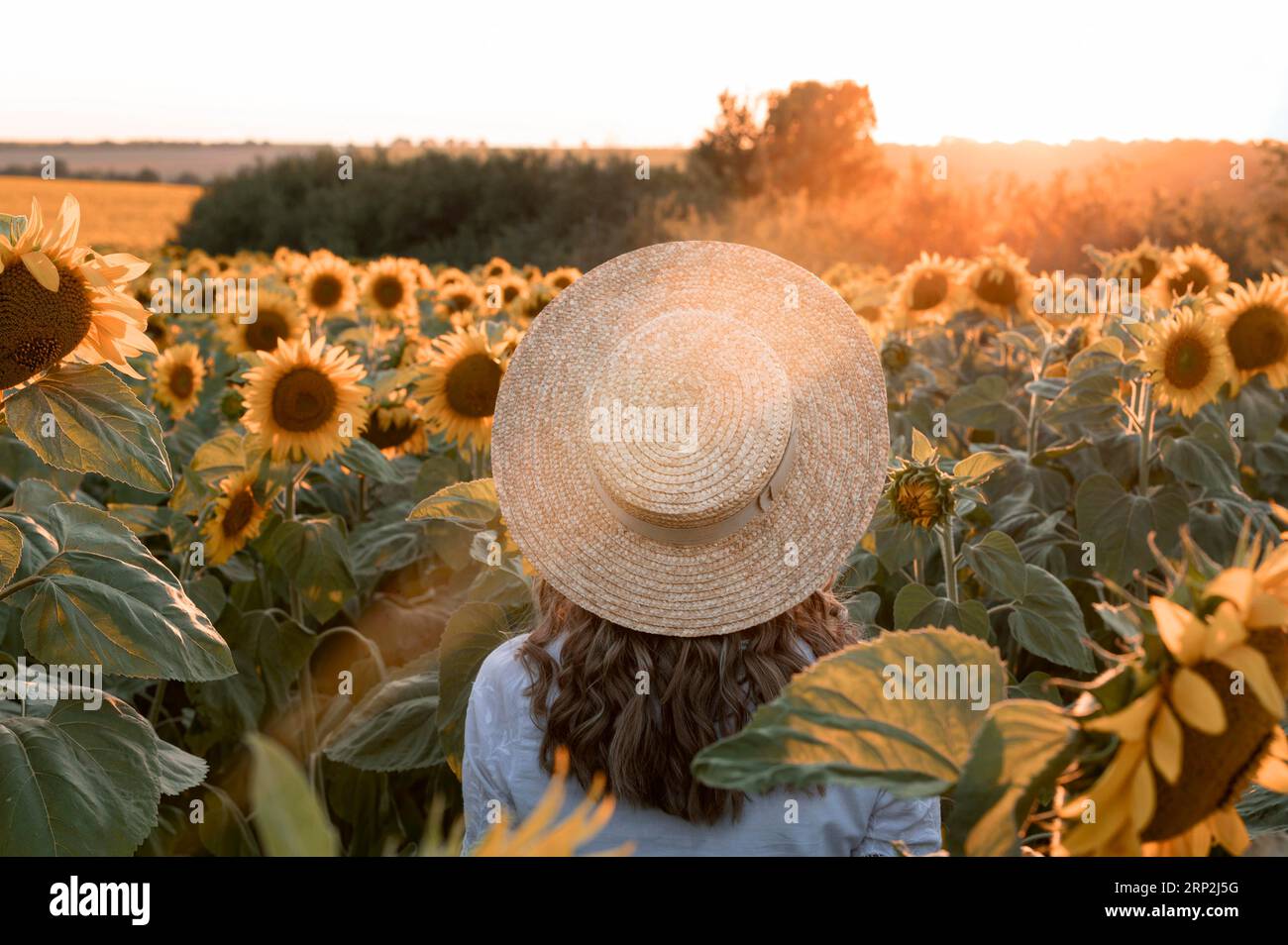 Back view two adventurous hi-res stock photography and images - Alamy