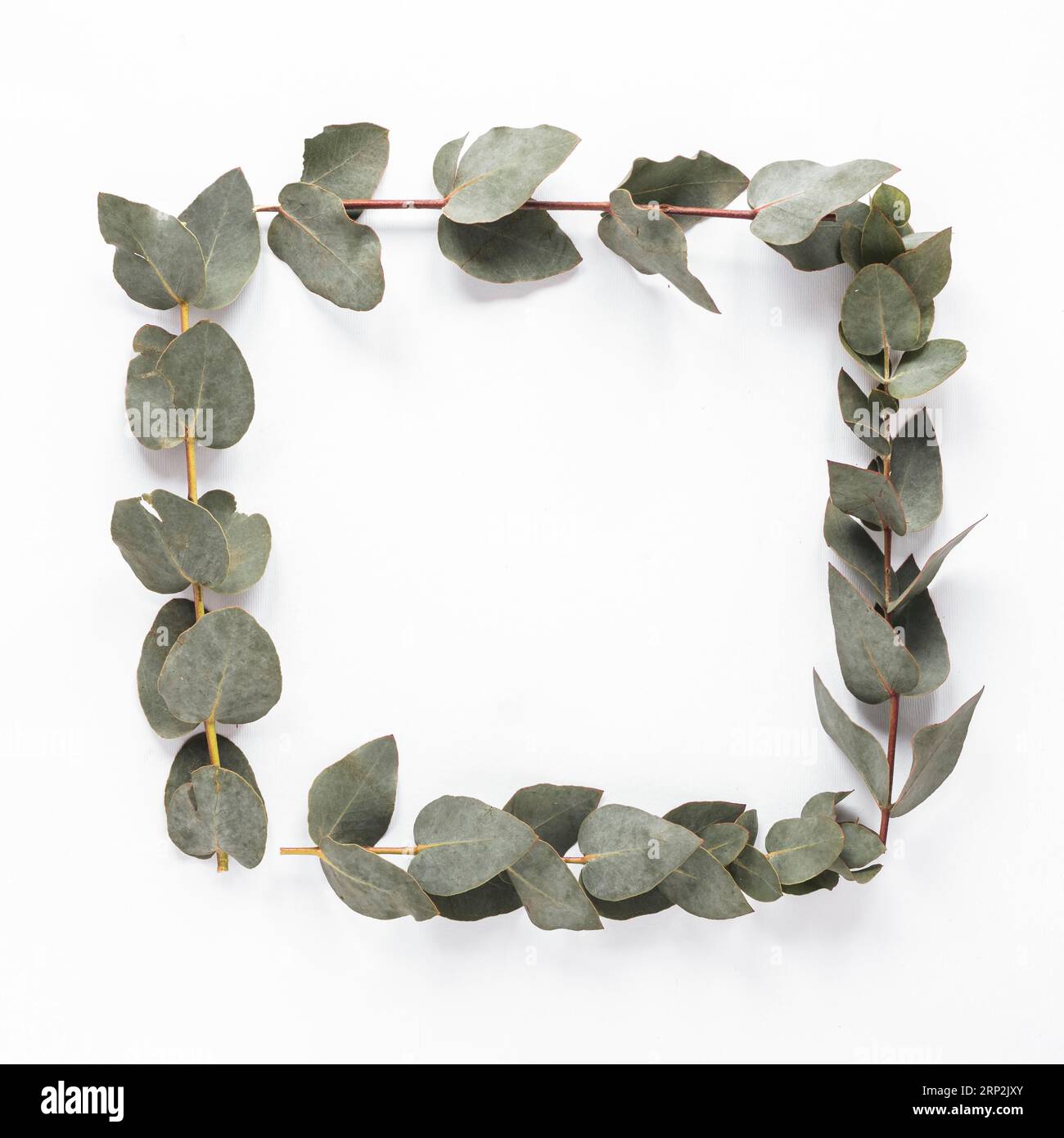 Christmas wreath from branches Cut Out Stock Images & Pictures - Alamy