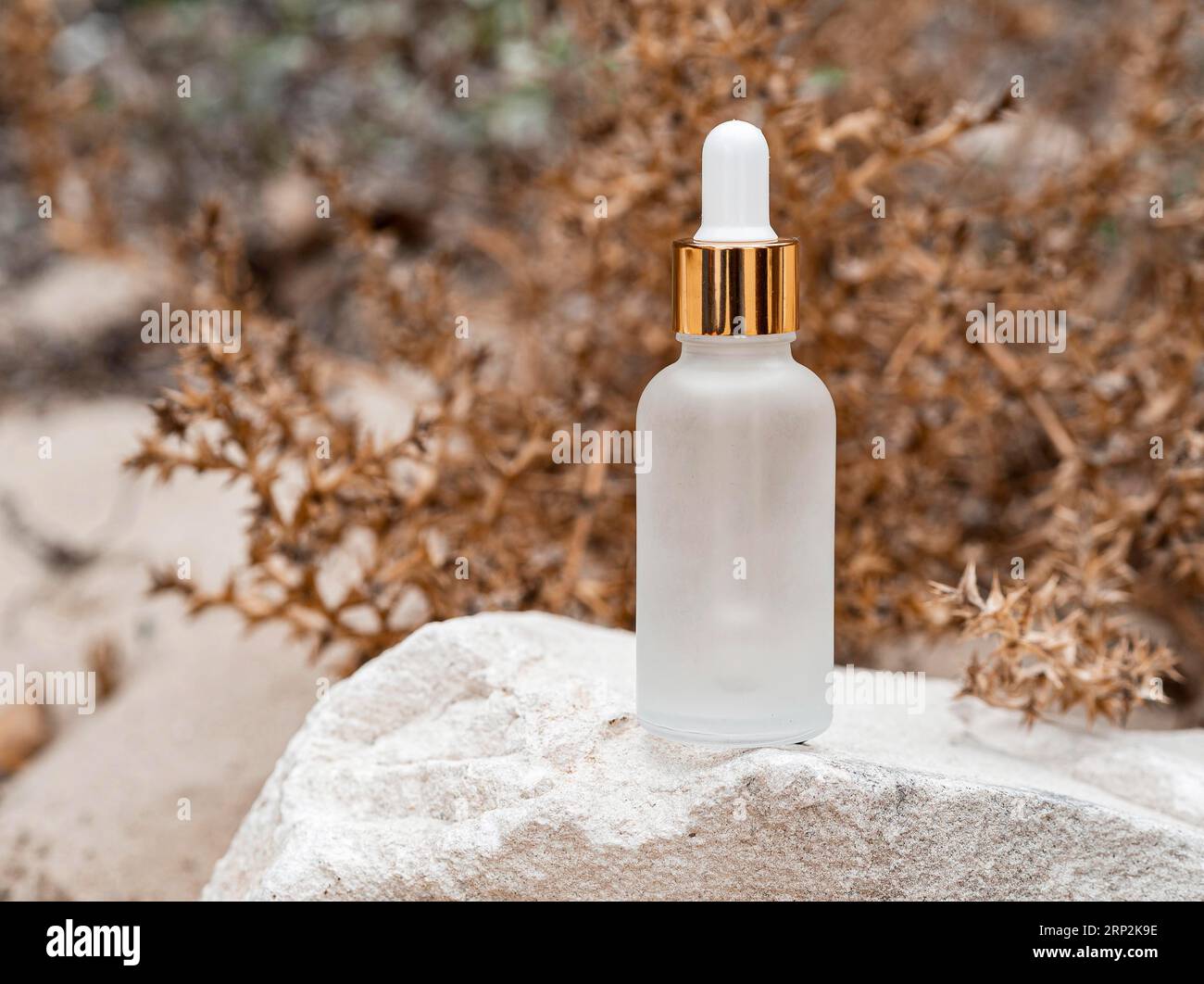 Front view skin oil dropper Stock Photo - Alamy
