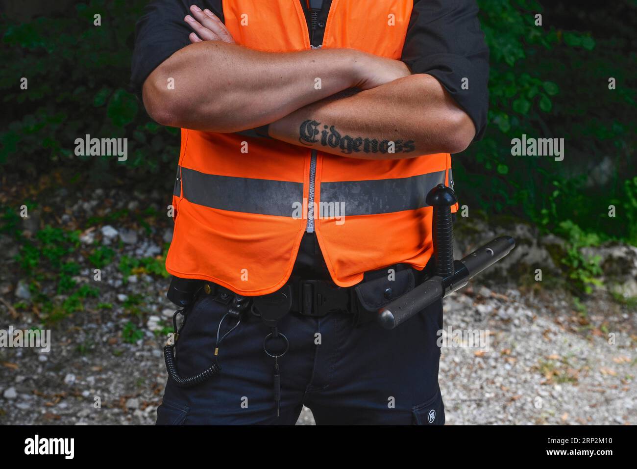 Symbol photo security guard tattoo confederate Stock Photo - Alamy