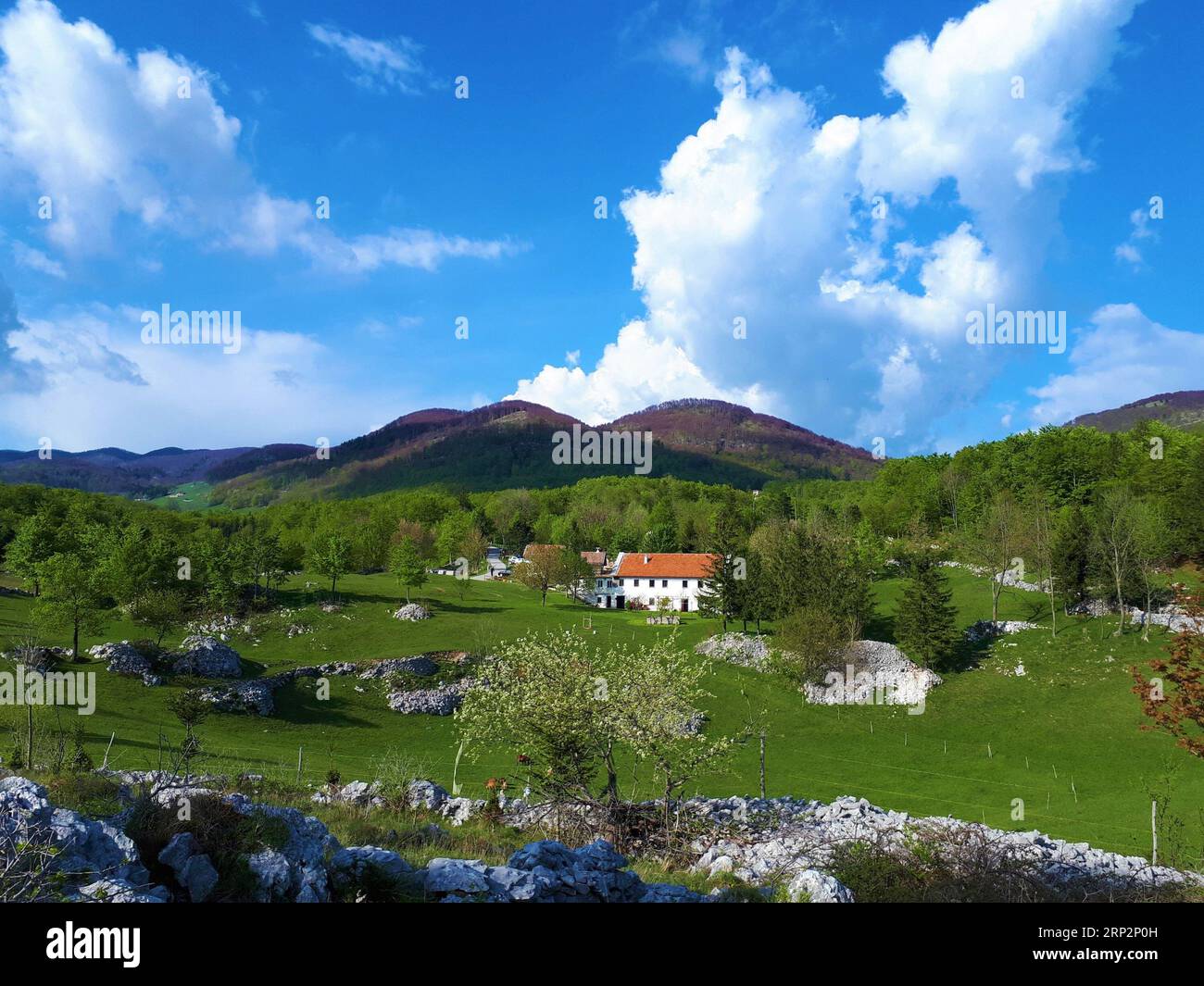 Rural landscape at the edge of Trnovo Forest Plateau in Littoral region ...