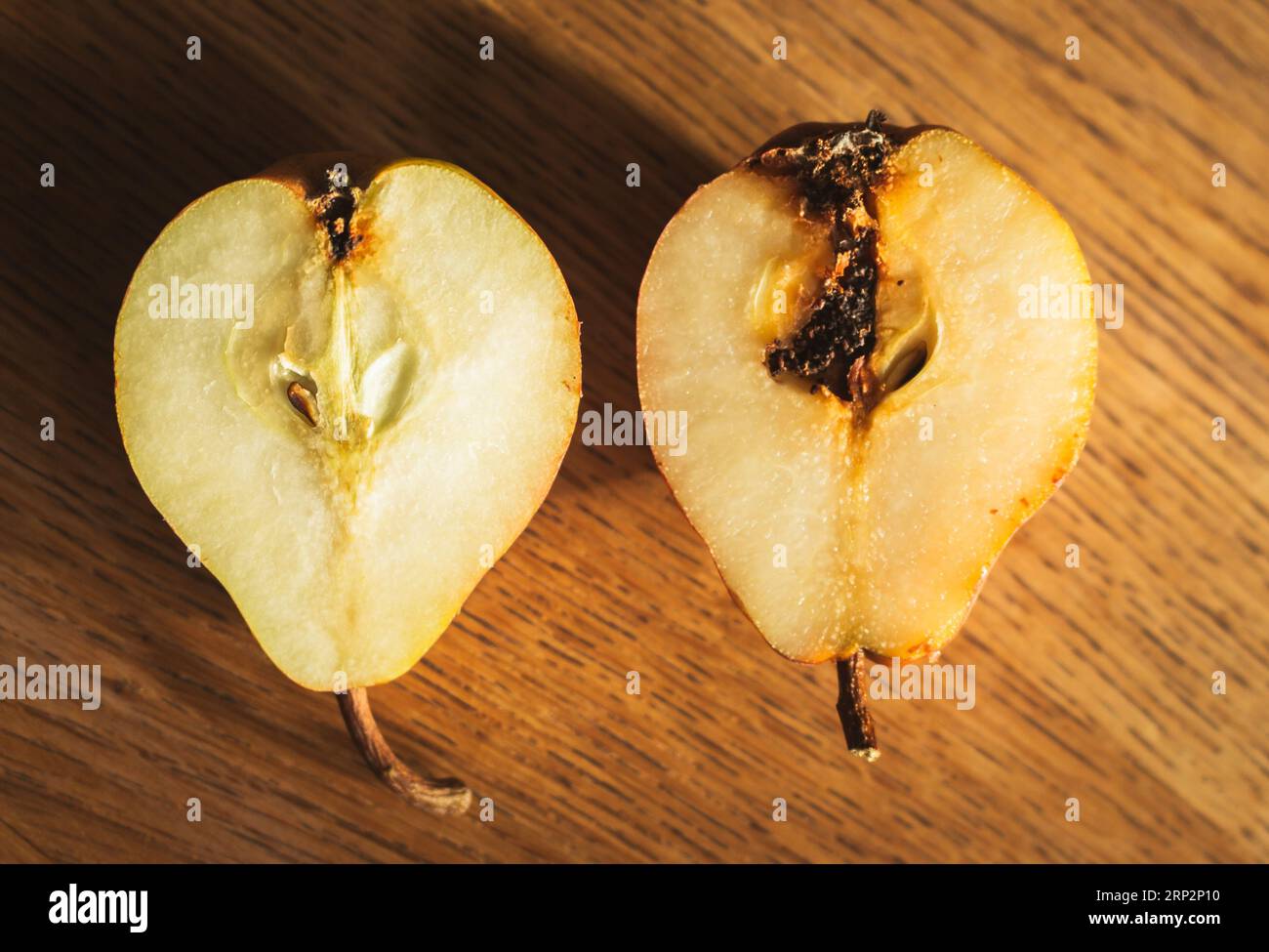 Maggot farming hi-res stock photography and images - Alamy