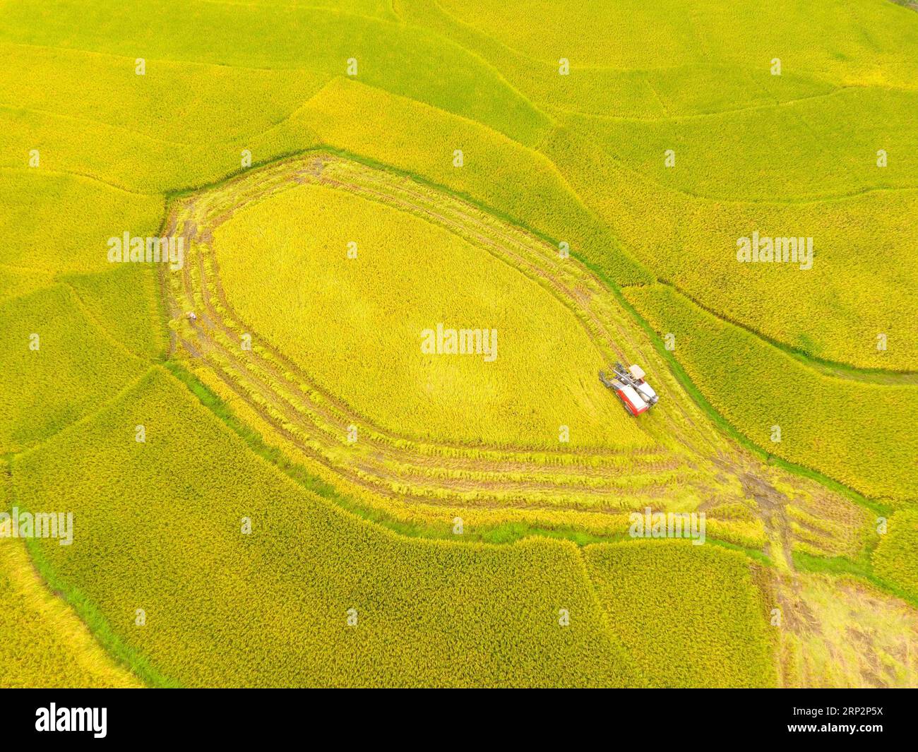 Lixjianxin hi-res stock photography and images - Alamy