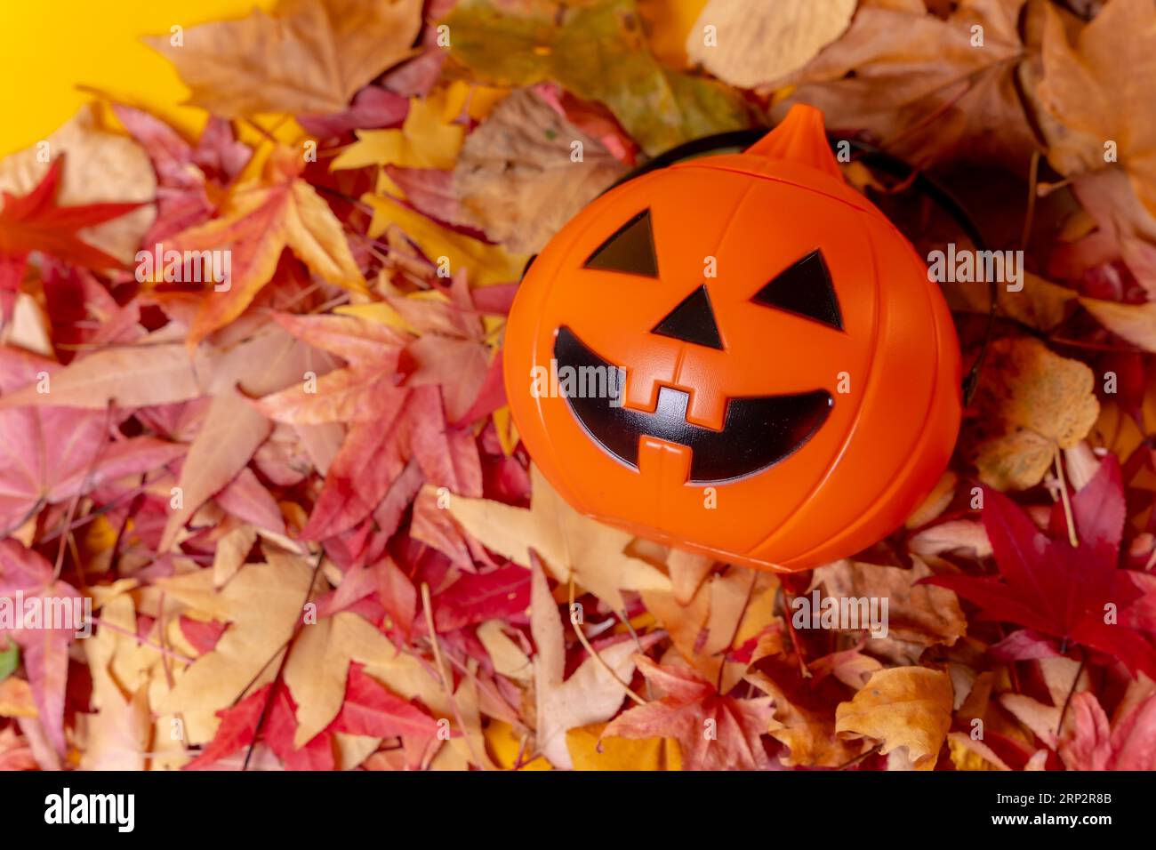 Pumpkin on festive autumn hi-res stock photography and images - Alamy