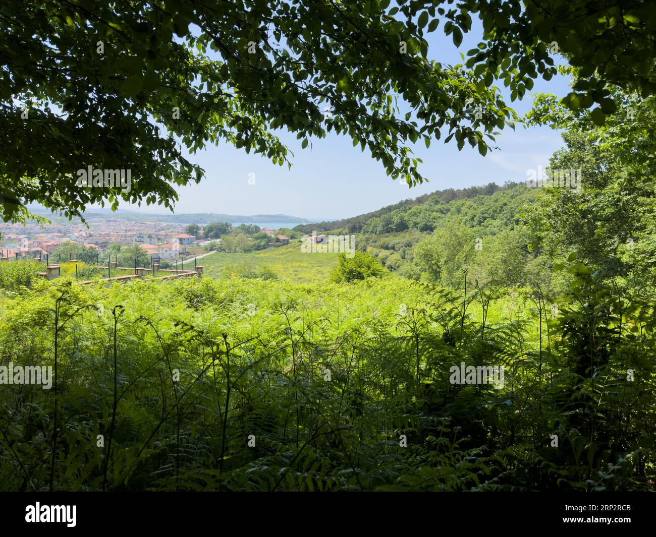 Forest window. View of the summer seaside town through trees and grass ...