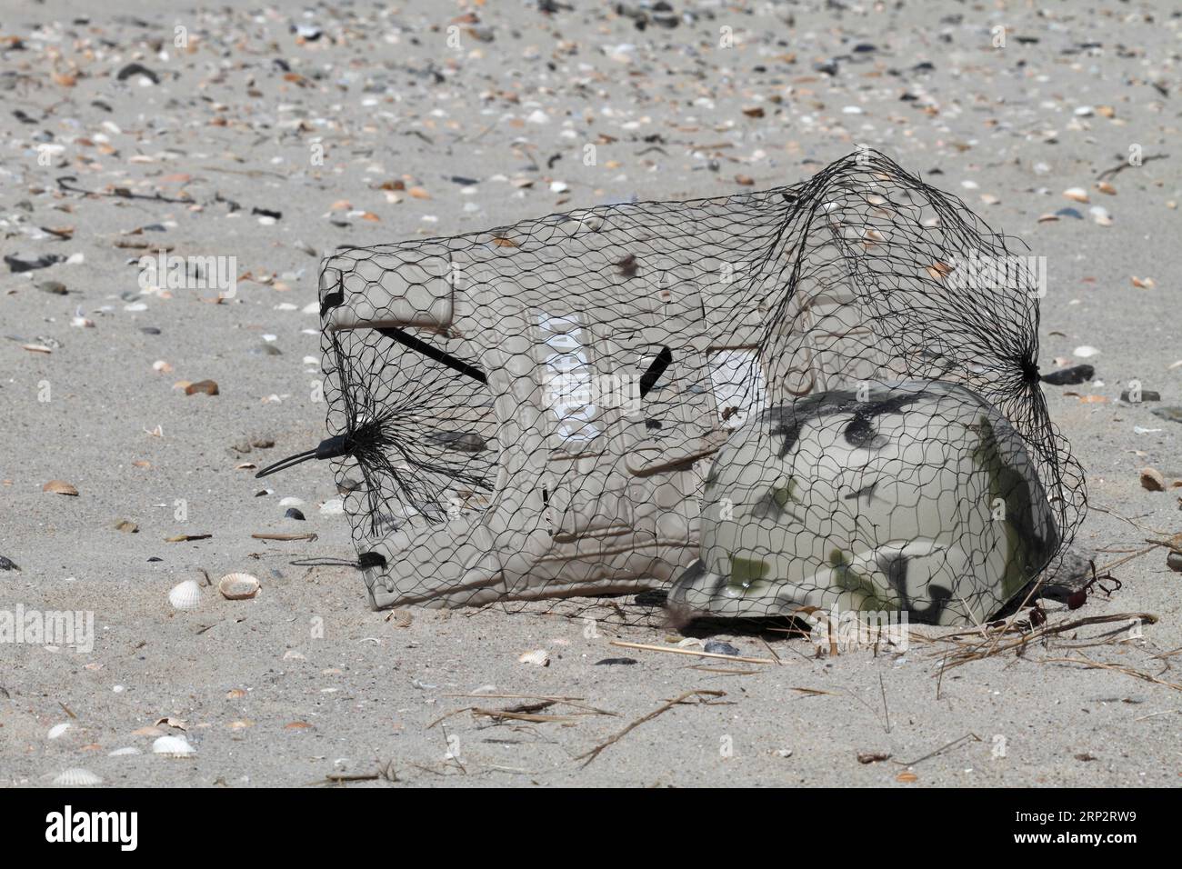 Marine litter washed up on the beach, human impact on the marine ...