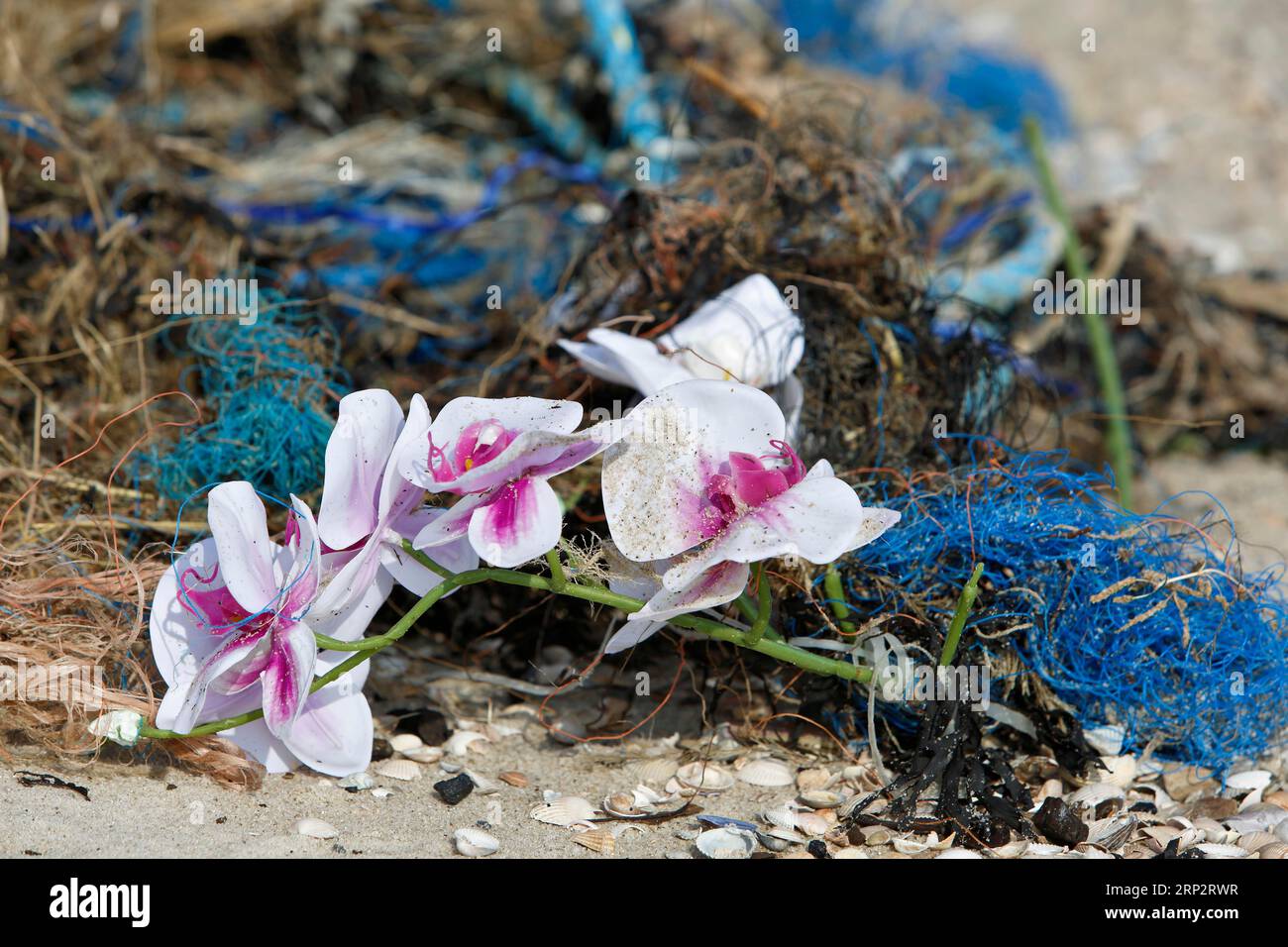 Marine litter washed up on the beach, human impact on the marine ...