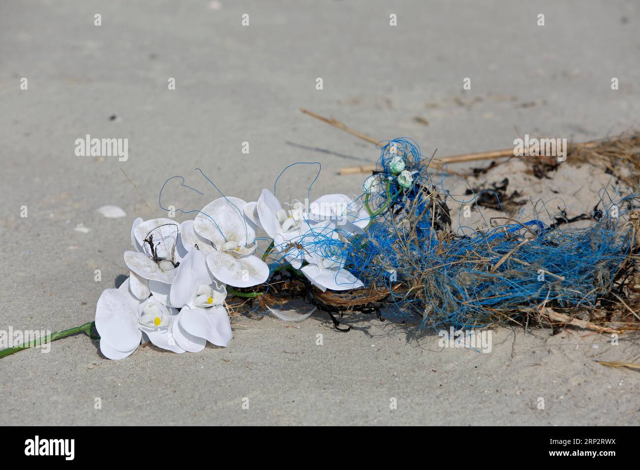 Marine litter washed up on the beach, human impact on the marine ...