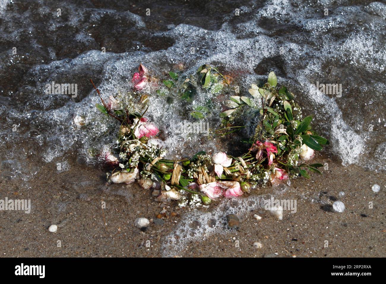 Marine litter washed up on the beach, human impact on the marine ...