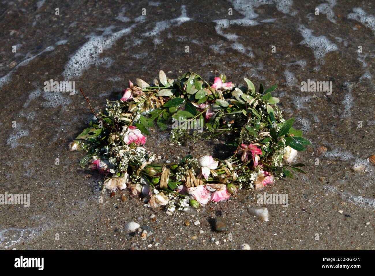 Marine litter washed up on the beach, human impact on the marine ...