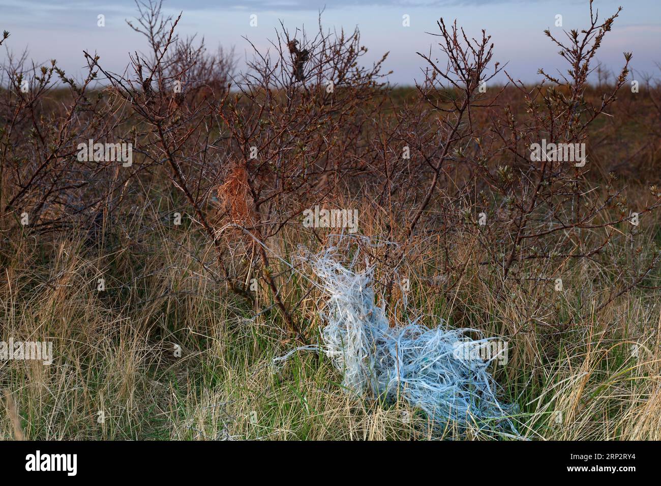 Marine litter washed up on the beach, human impact on the marine ...