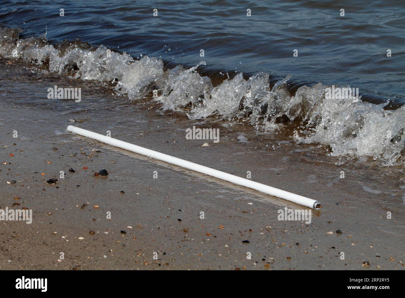 Marine litter washed up on the beach, human impact on the marine ...