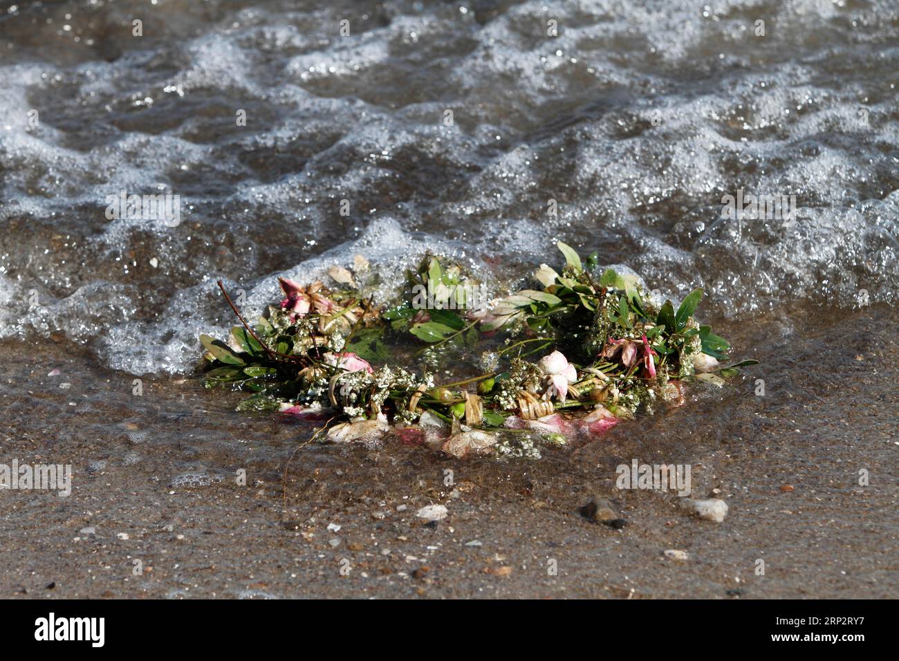 Marine litter washed up on the beach, human impact on the marine ...