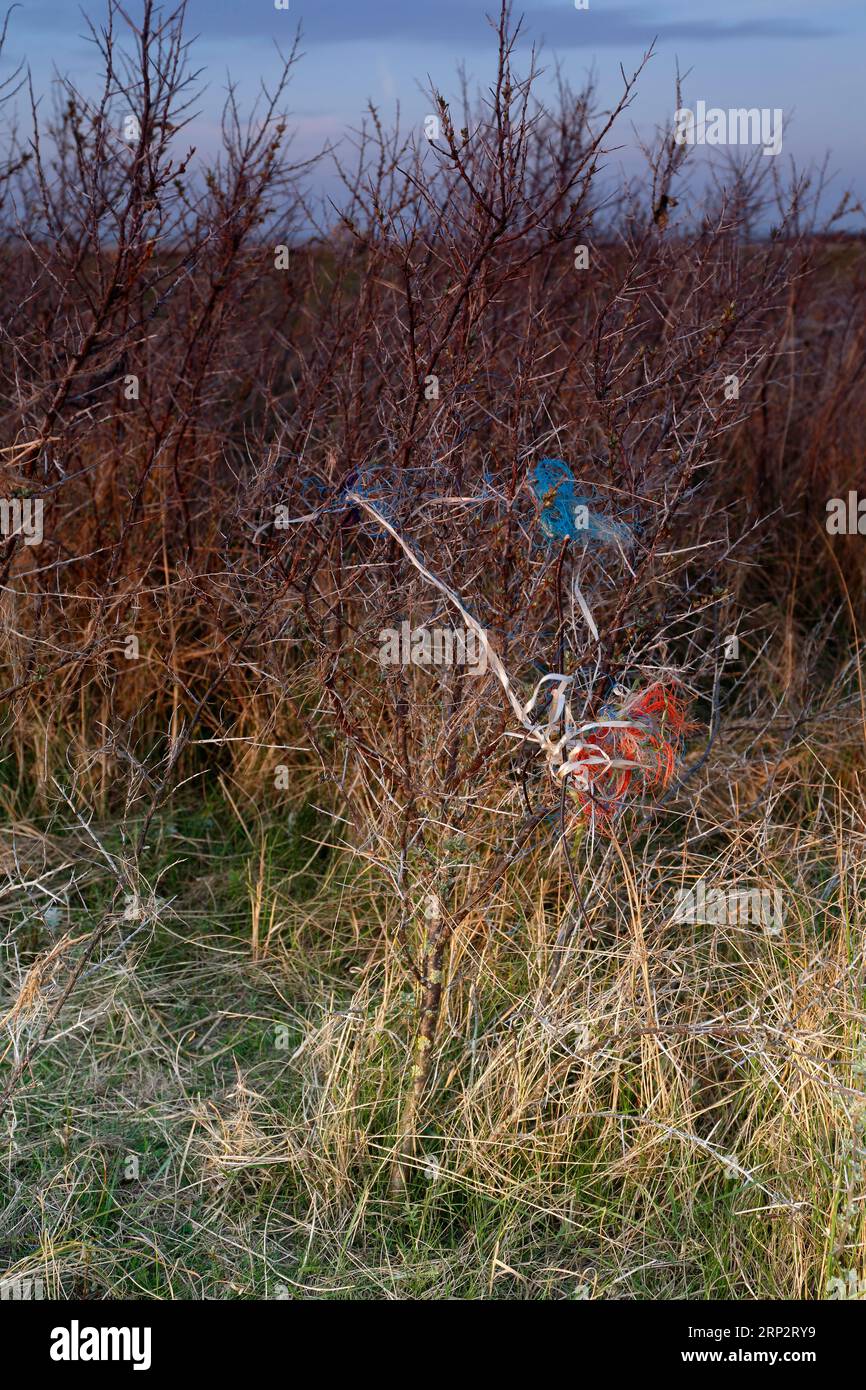 Marine litter washed up on the beach, human impact on the marine ...