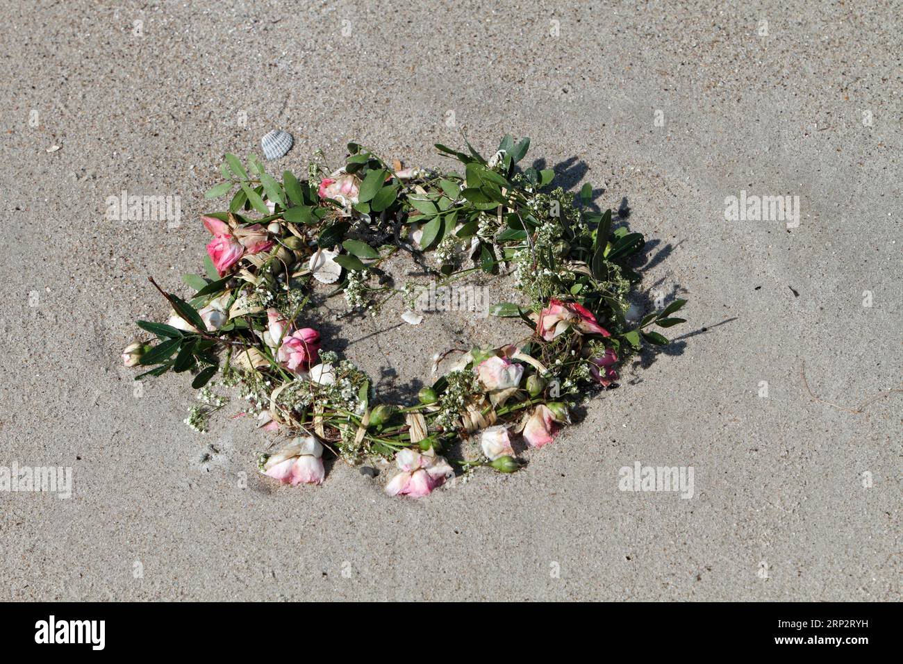 Marine litter washed up on the beach, human impact on the marine ...