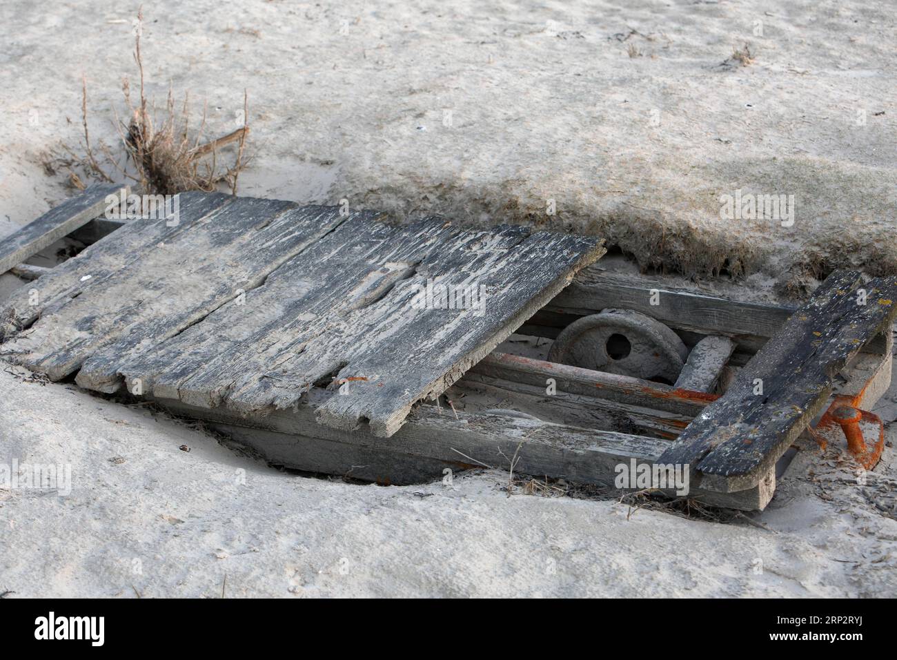 Marine litter washed up on the beach, human impact on the marine ...