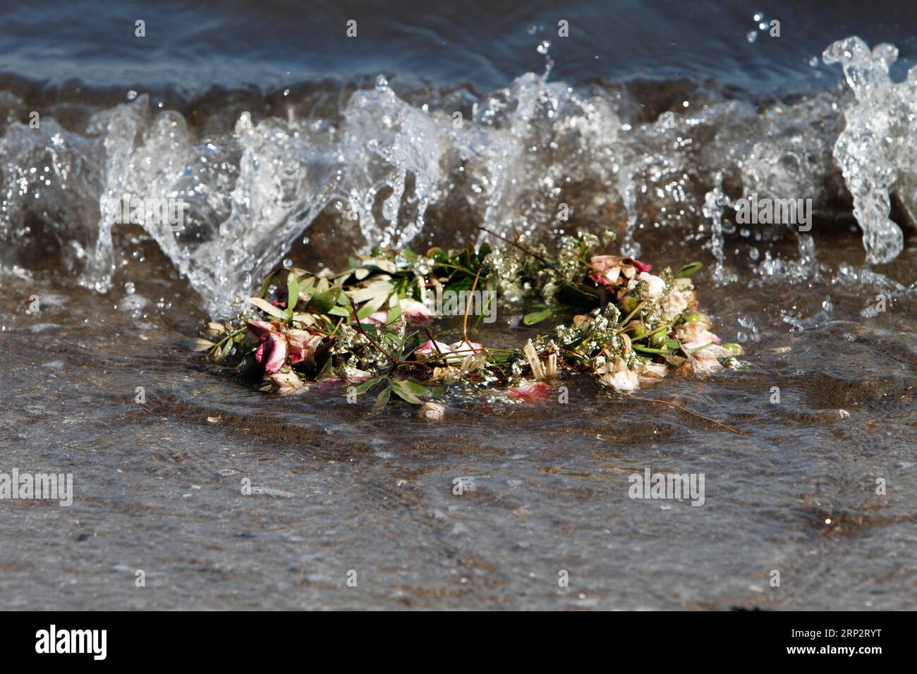 Marine litter washed up on the beach, human impact on the marine ...