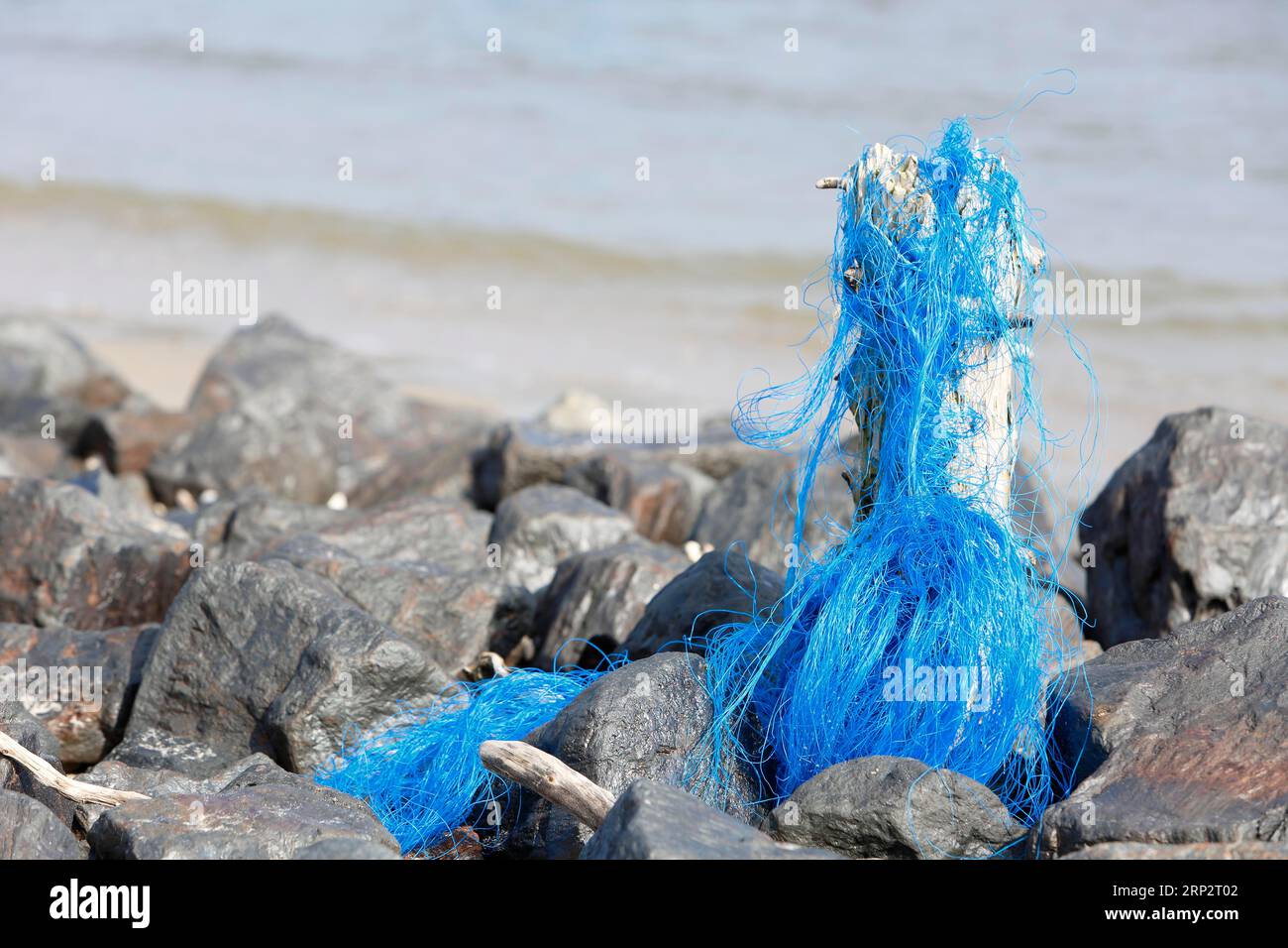 Marine litter washed up on the beach, human impact on the marine ...