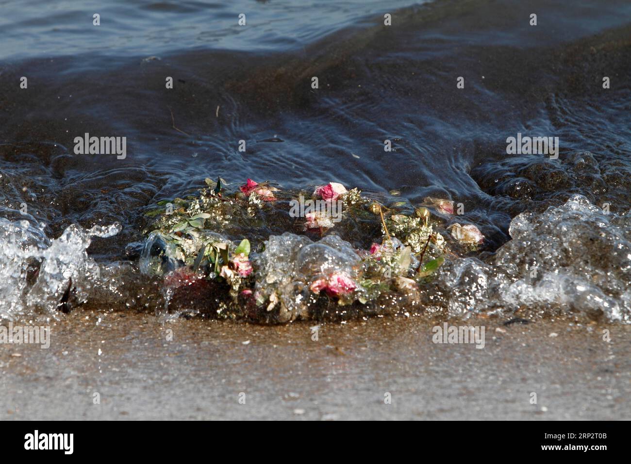 Marine litter washed up on the beach, human impact on the marine ...