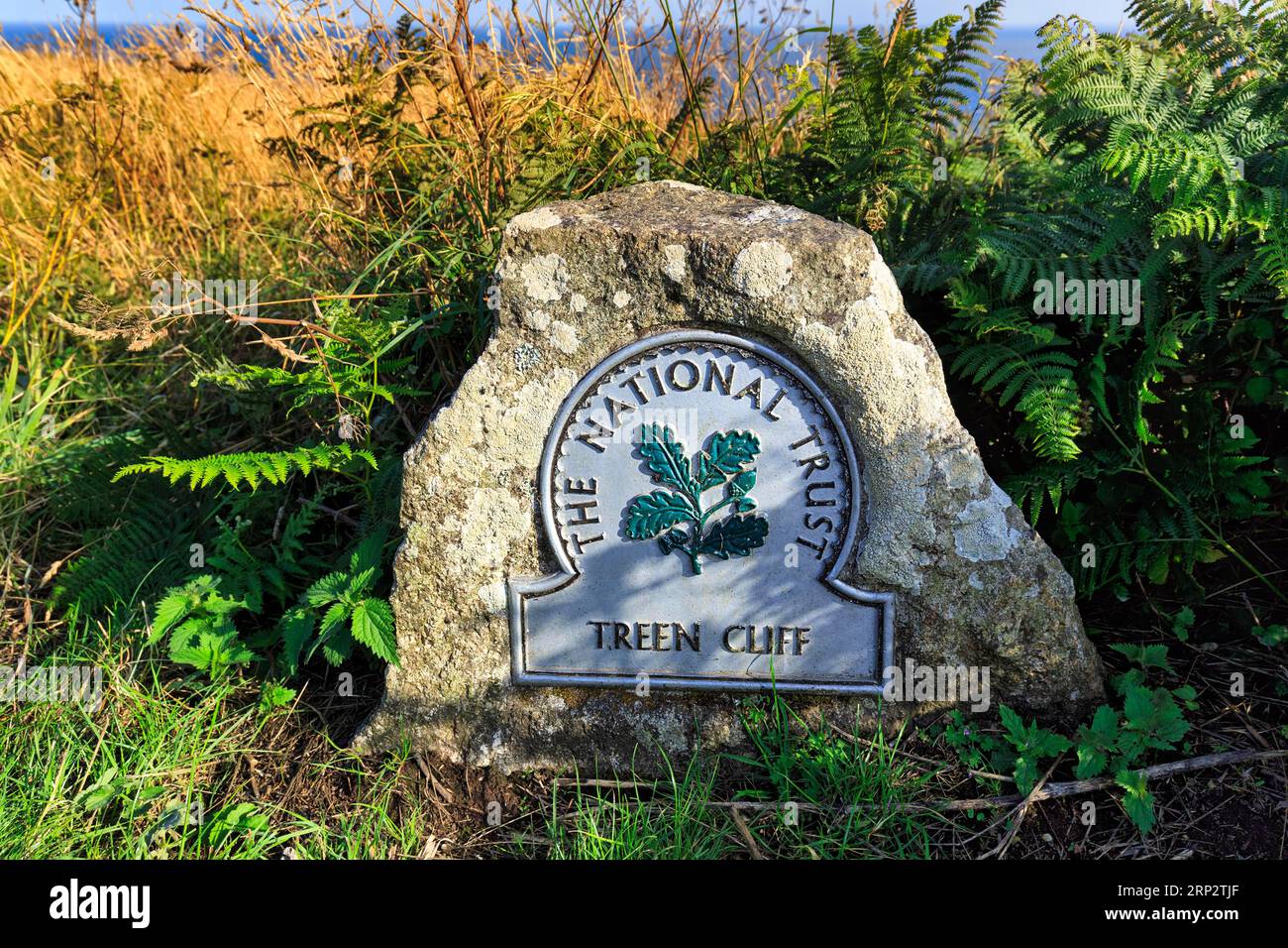 Waymarker with logo, National Trust, Treen cliffs, South West Coast ...