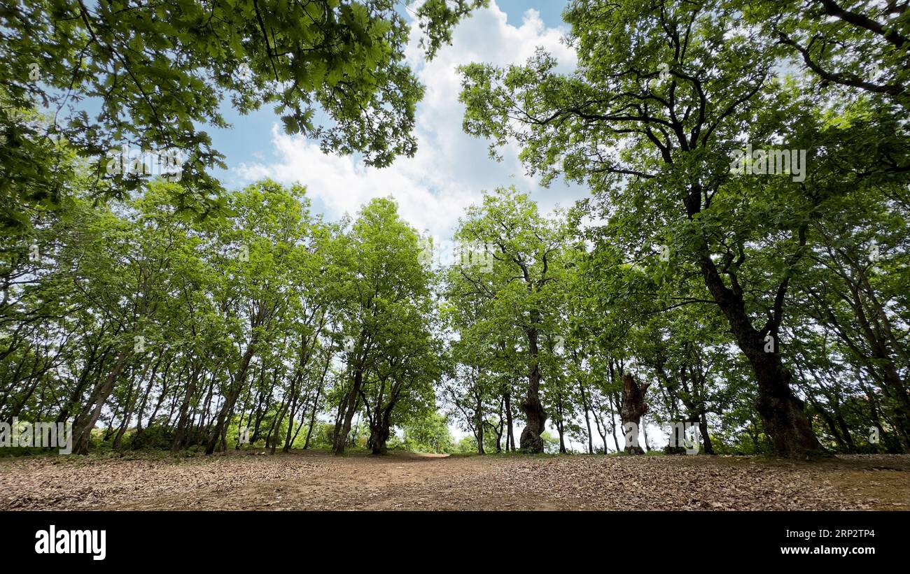 Wide angle of view hi-res stock photography and images - Alamy