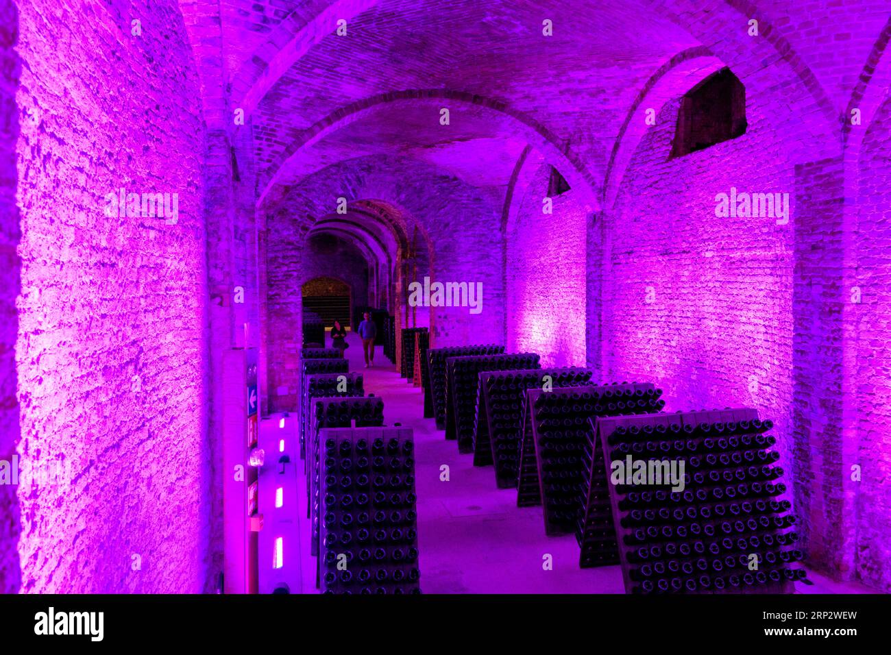 Cattedrali Sotterranee Bosca, UNESCO, Cantine Bosca, Winery, Spumante ...