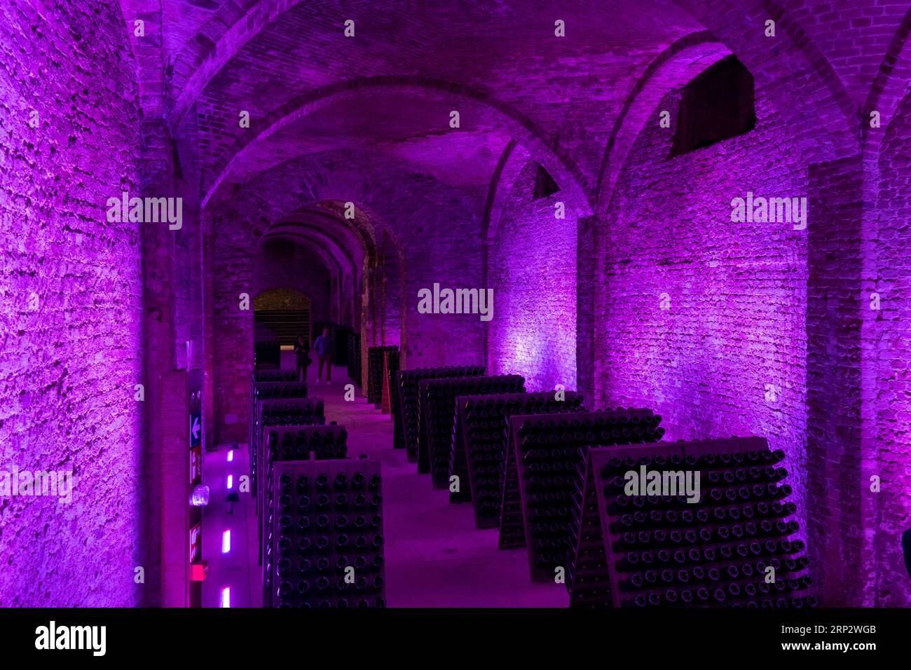 Cattedrali Sotterranee Bosca, UNESCO, Cantine Bosca, Winery, Spumante ...