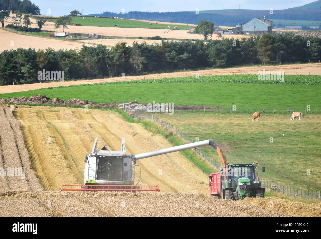 Mixed farming landscape tractor hi-res stock photography and images - Alamy