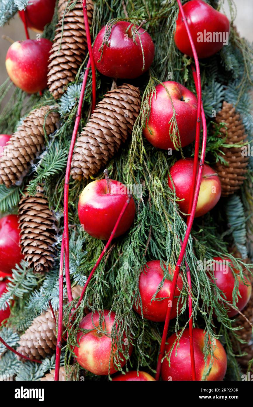Christmas apples and pine cones on a Christmas tree Stock Photo - Alamy