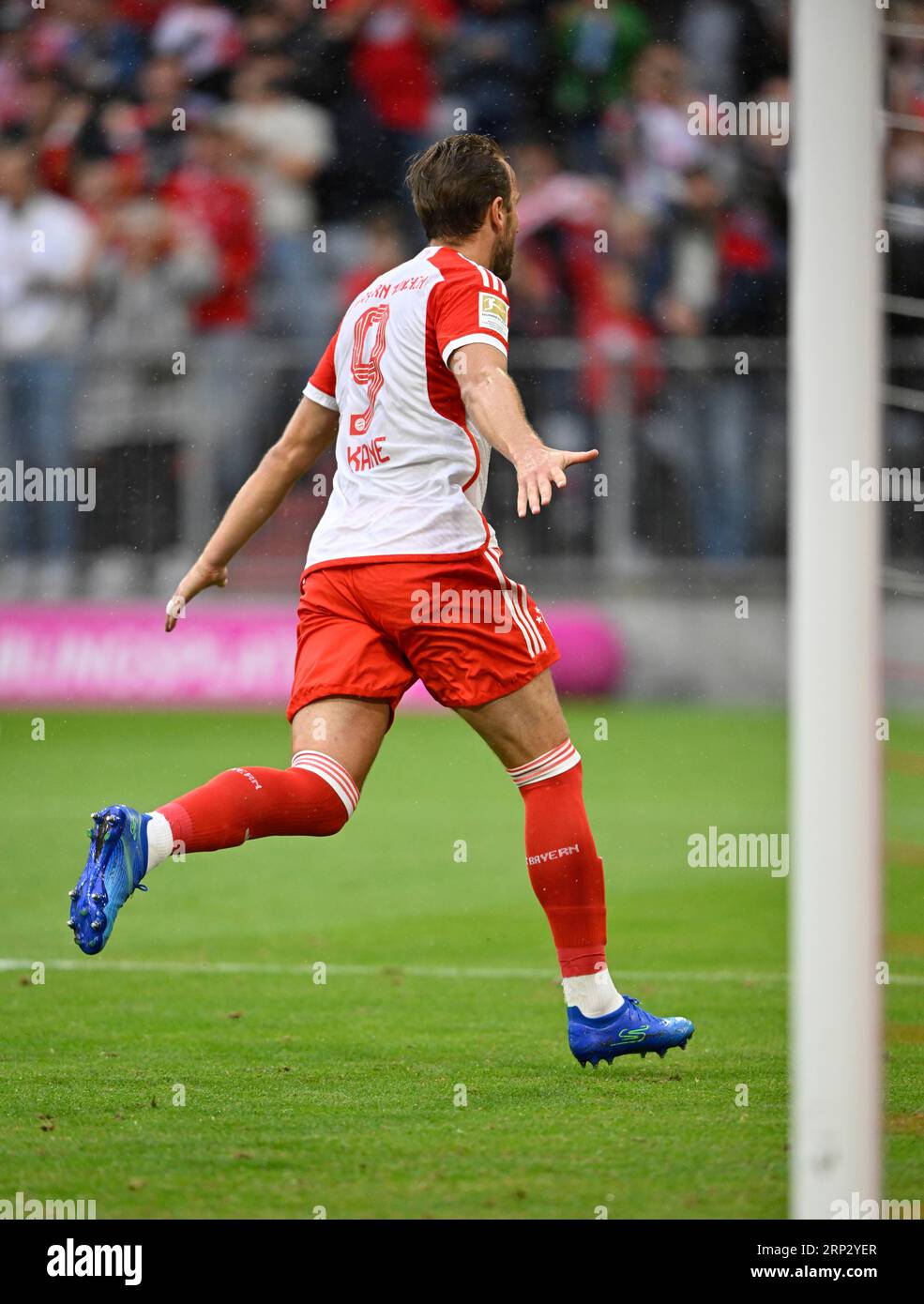 Harry kane bayern goal hi-res stock photography and images - Alamy