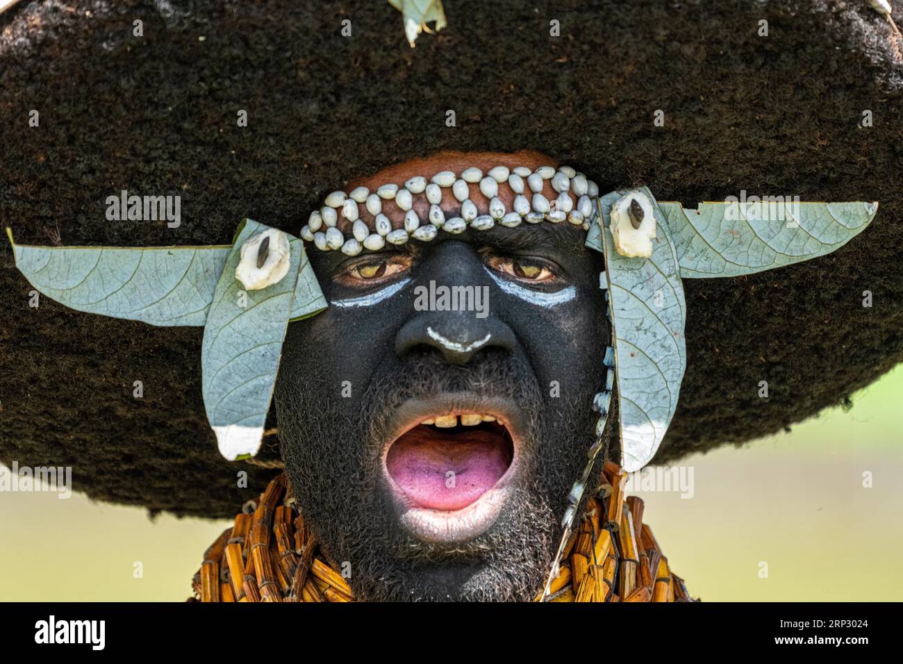 Dancers in war paint, Sing Sing, Festival, Mount Hagen, Papua New ...