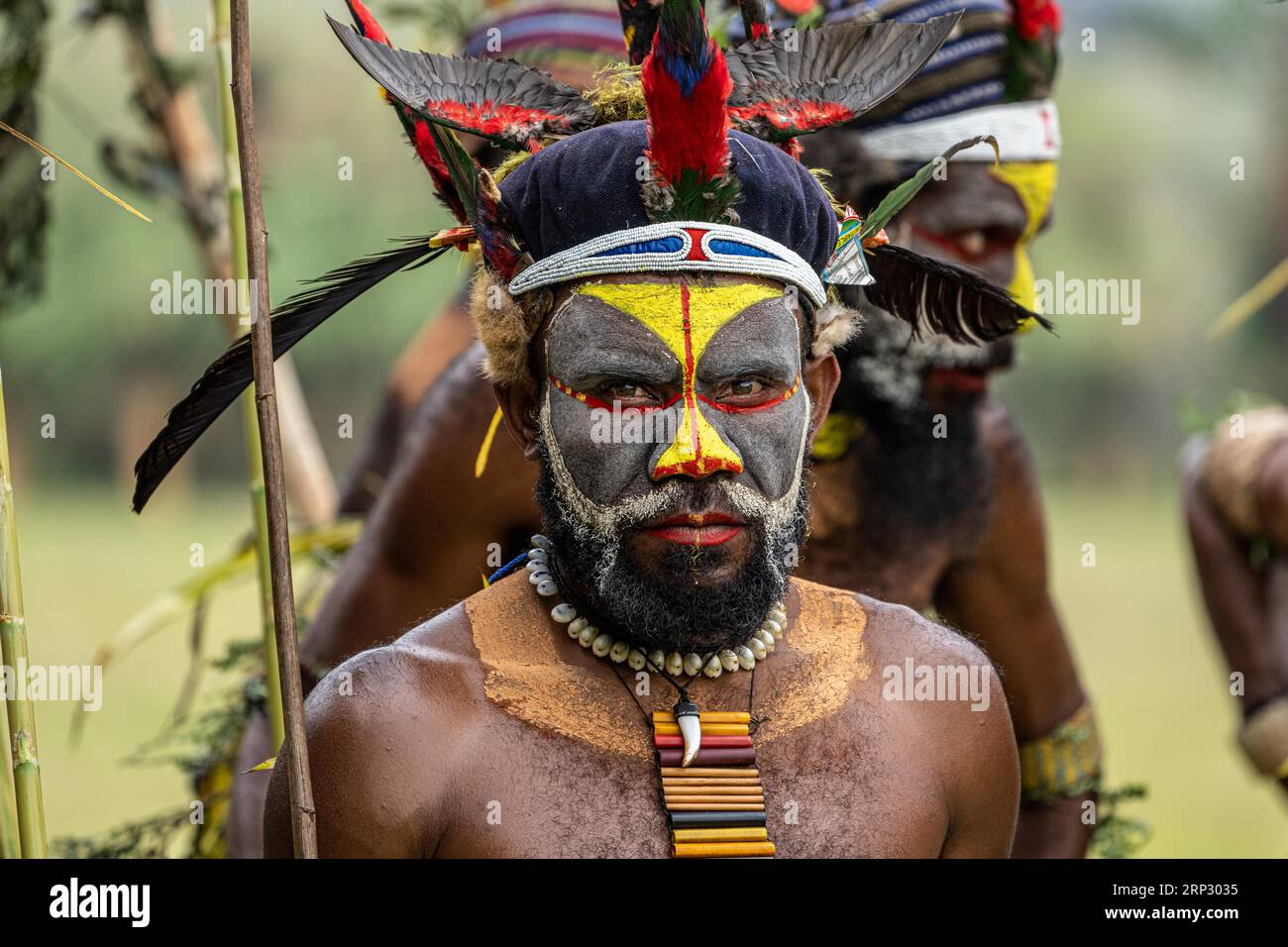 Dancers in war paint, Sing Sing, Festival, Mount Hagen, Papua New ...