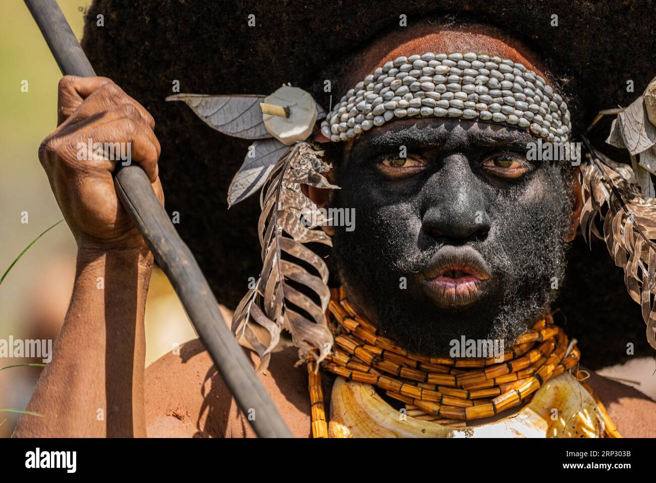 Dancers in war paint, Sing Sing, Festival, Mount Hagen, Papua New ...