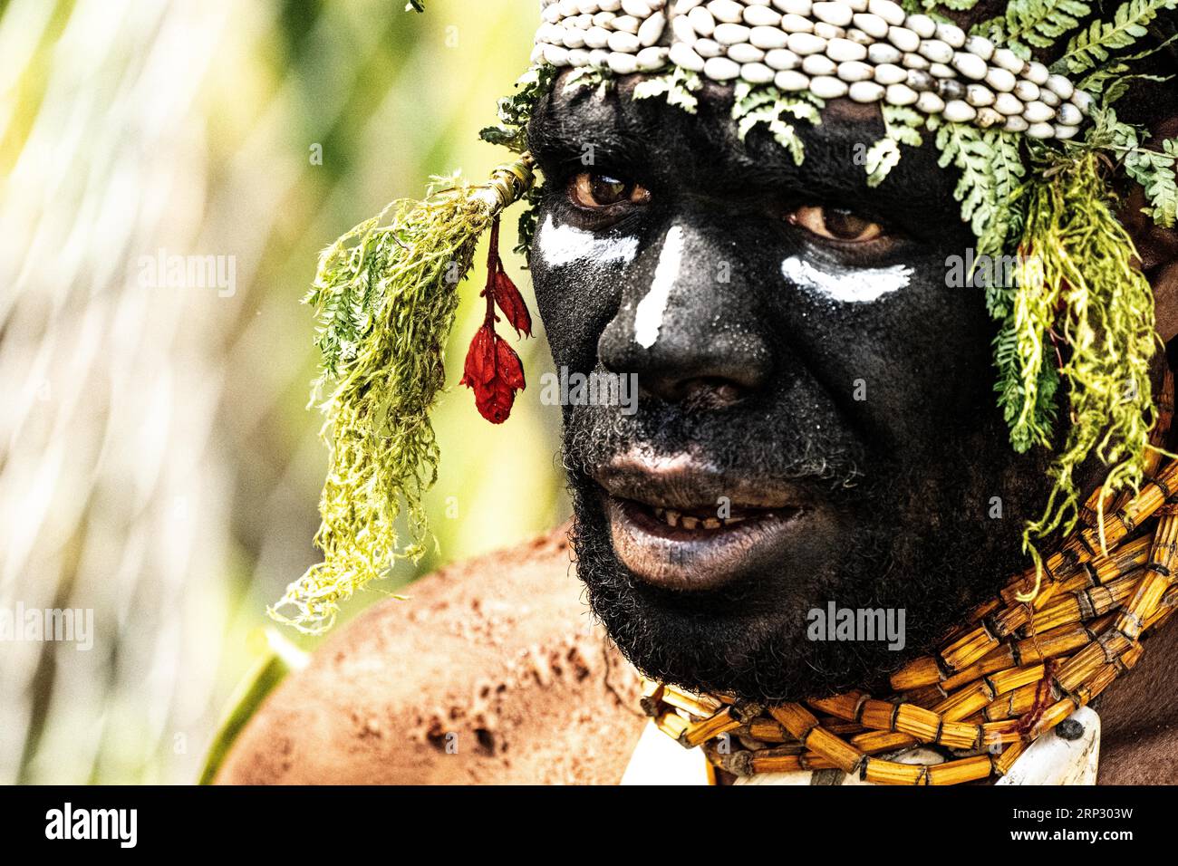 Dancers in war paint, Sing Sing, Festival, Mount Hagen, Papua New ...