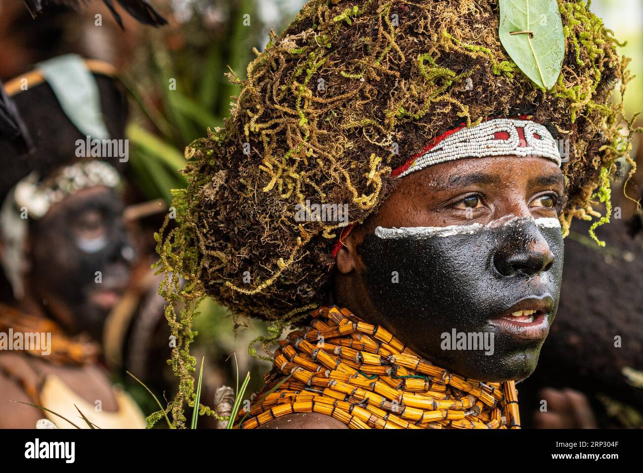 Dancers in war paint, Sing Sing, Festival, Mount Hagen, Papua New ...