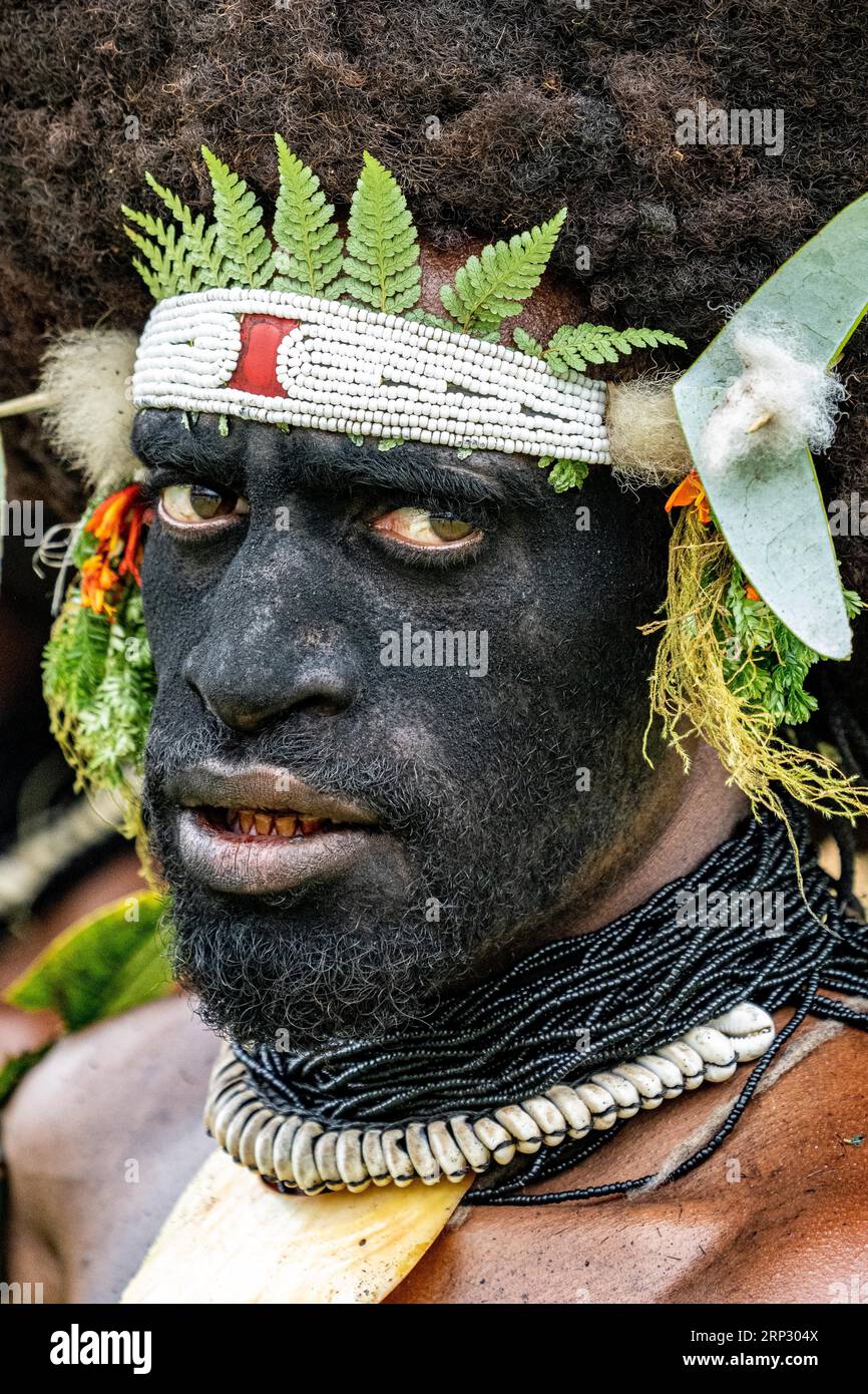 Dancers in war paint, Sing Sing, Festival, Mount Hagen, Papua New ...