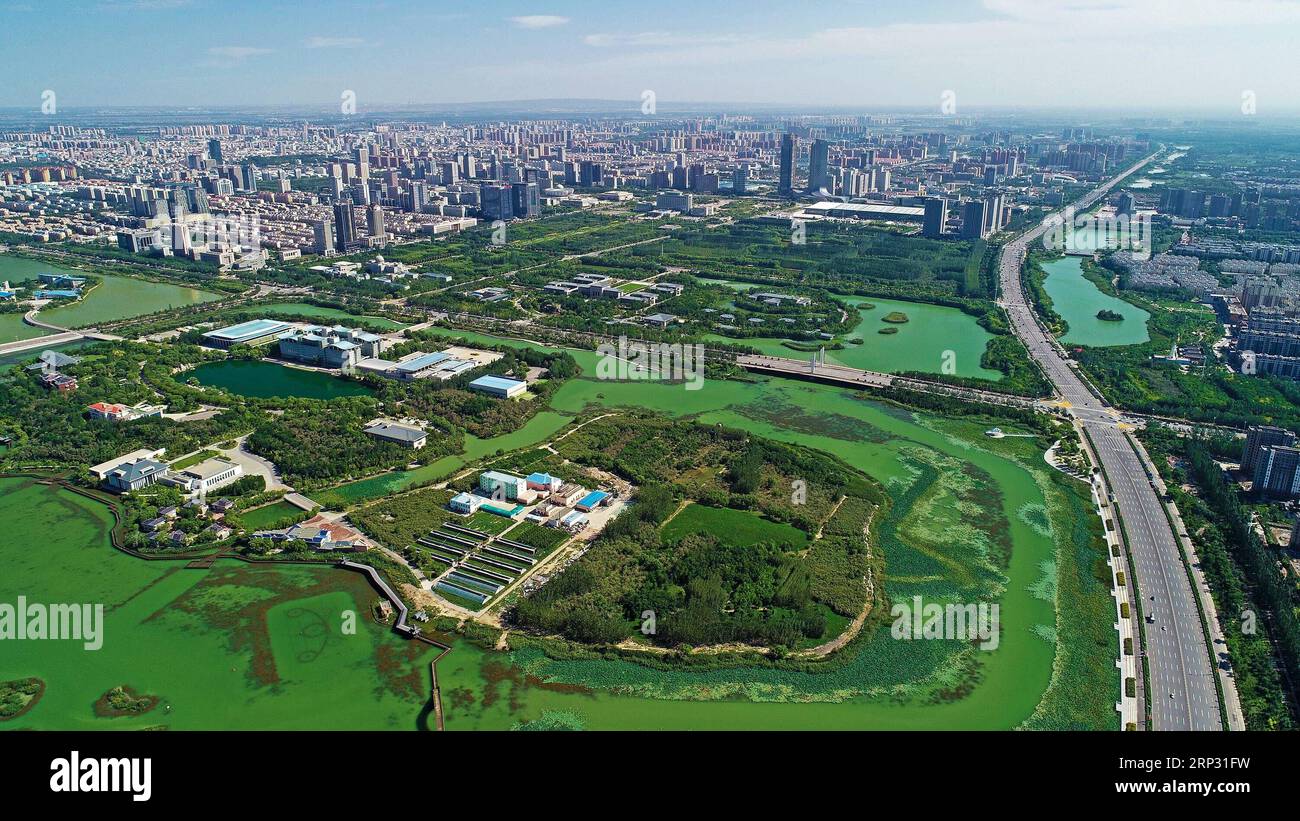 Jinfeng hi-res stock photography and images - Alamy