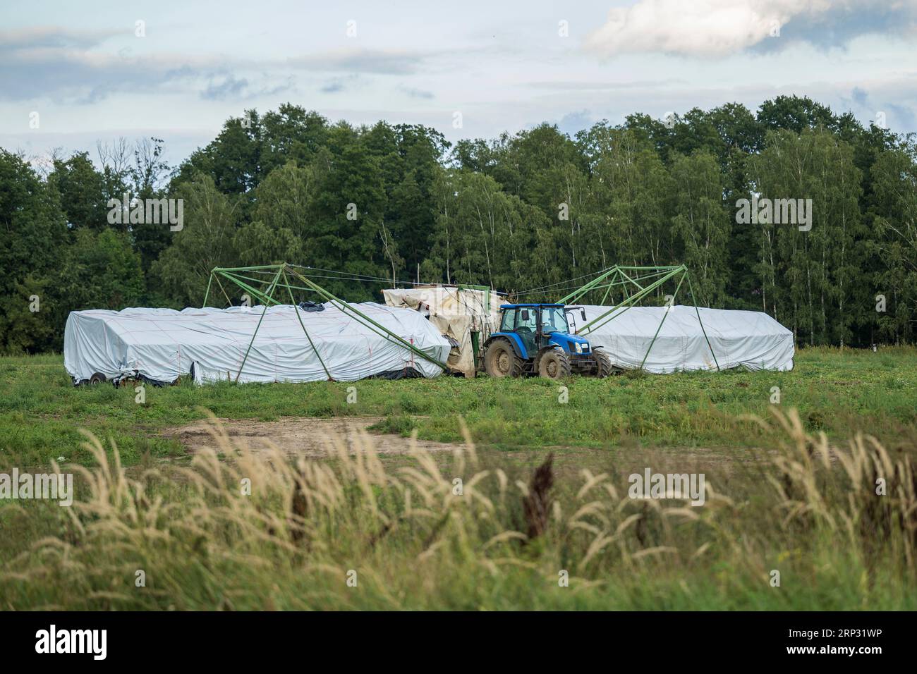 A harvester , also called cucumber plane on the field Stock Photo - Alamy