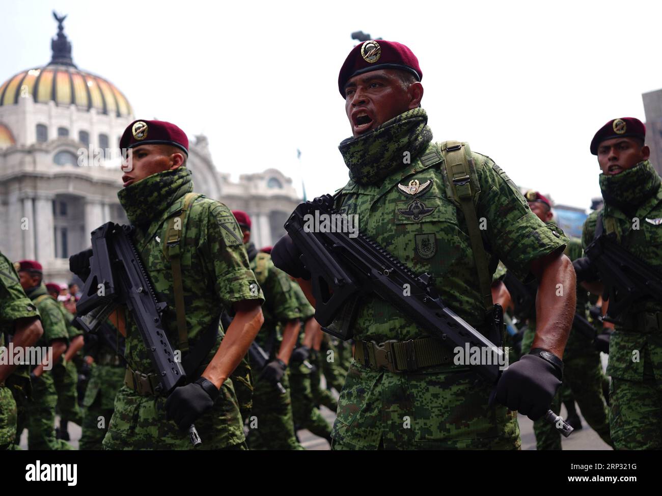 Mexican armed forces hi-res stock photography and images - Alamy