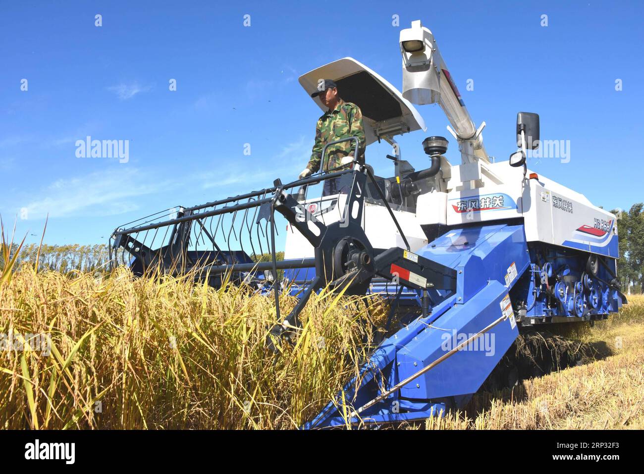 China rice combine harvester hi-res stock photography and images - Alamy