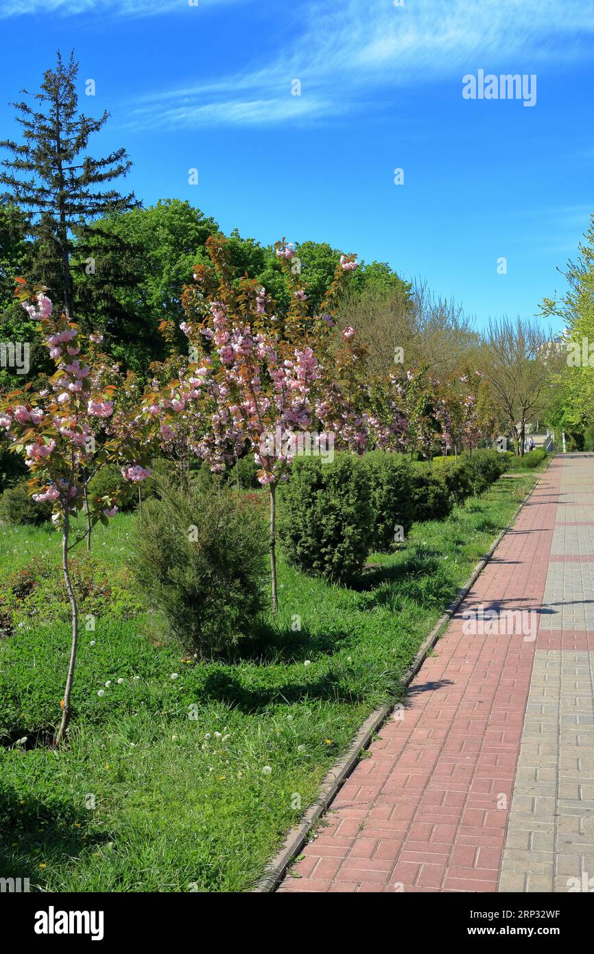 The photo was taken in the city of Odessa in Ukraine. The picture shows ...