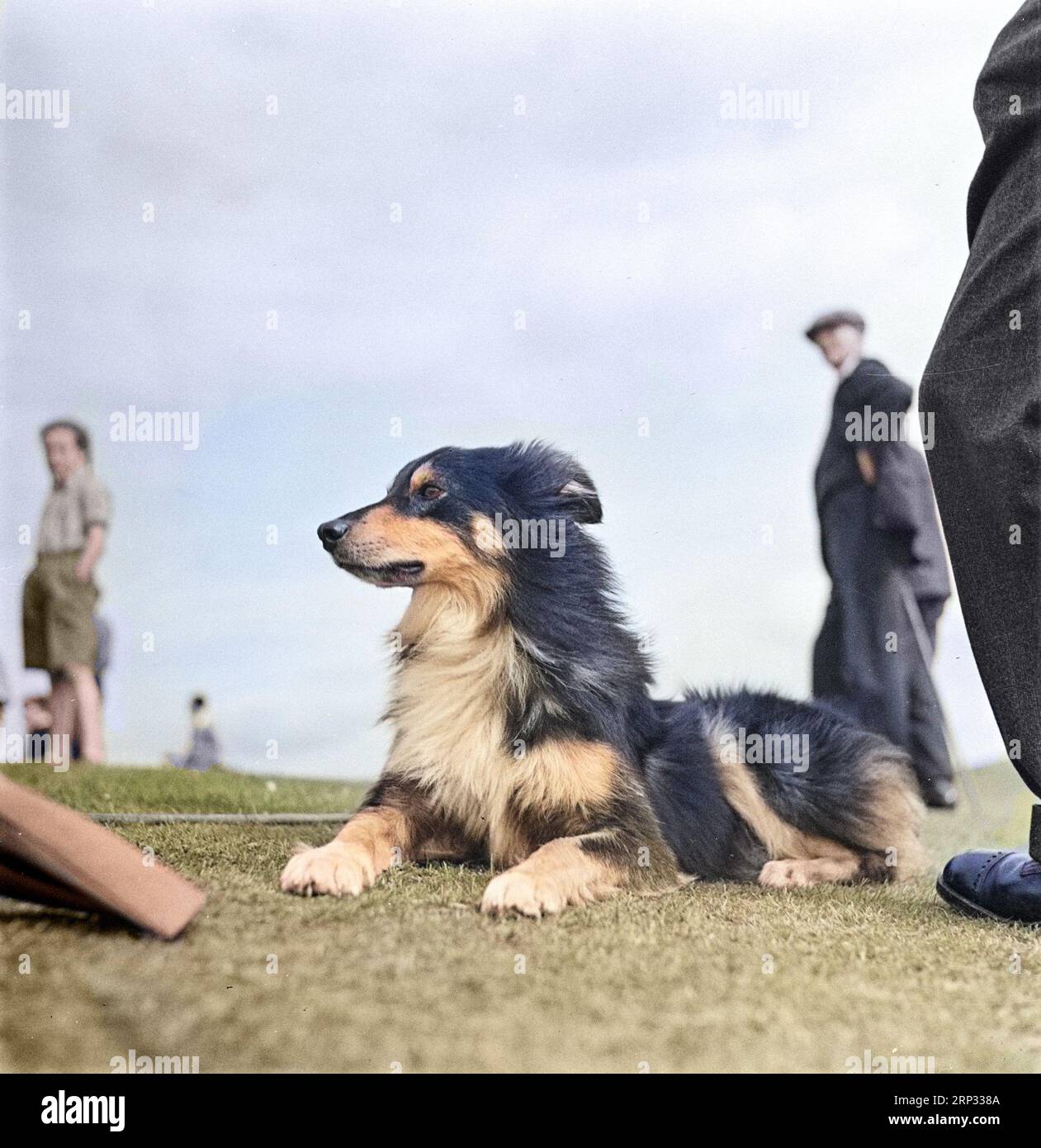Willem van de poll hi-res stock photography and images - Alamy