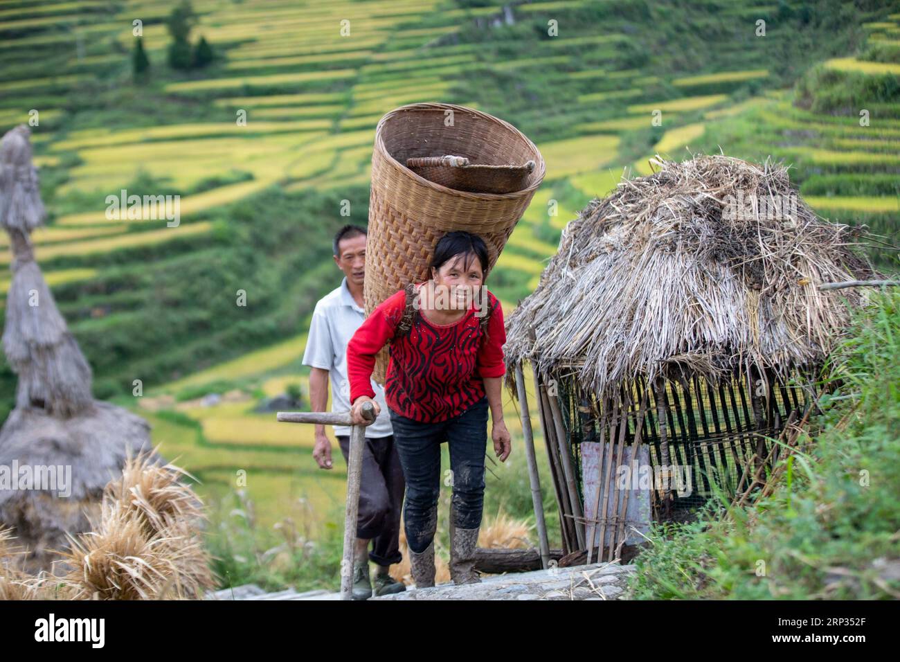 Youyang farmer hi-res stock photography and images - Alamy