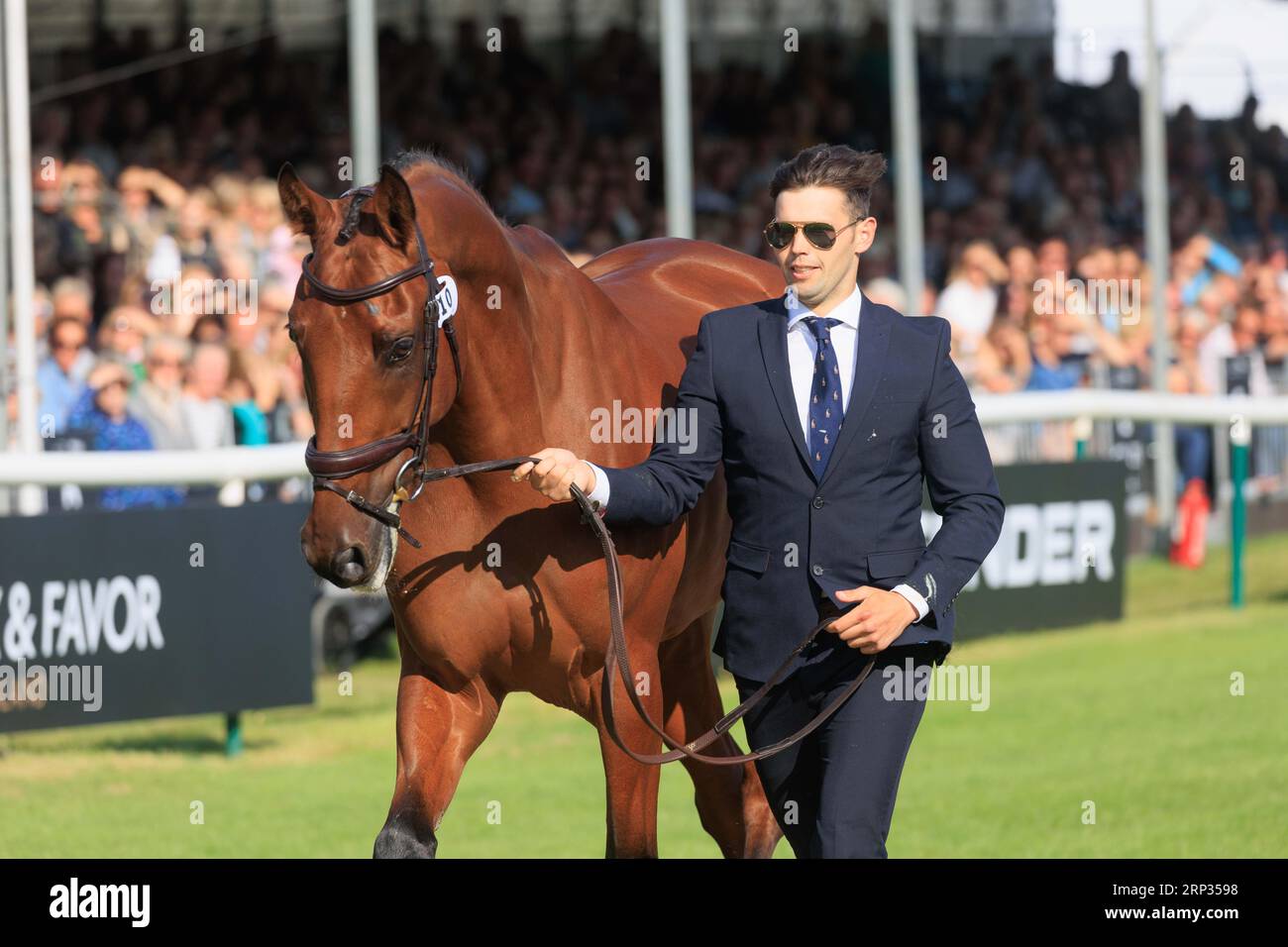 30th August 2023 Burghley Horse Trials vet inspection Harry Mutch with ...