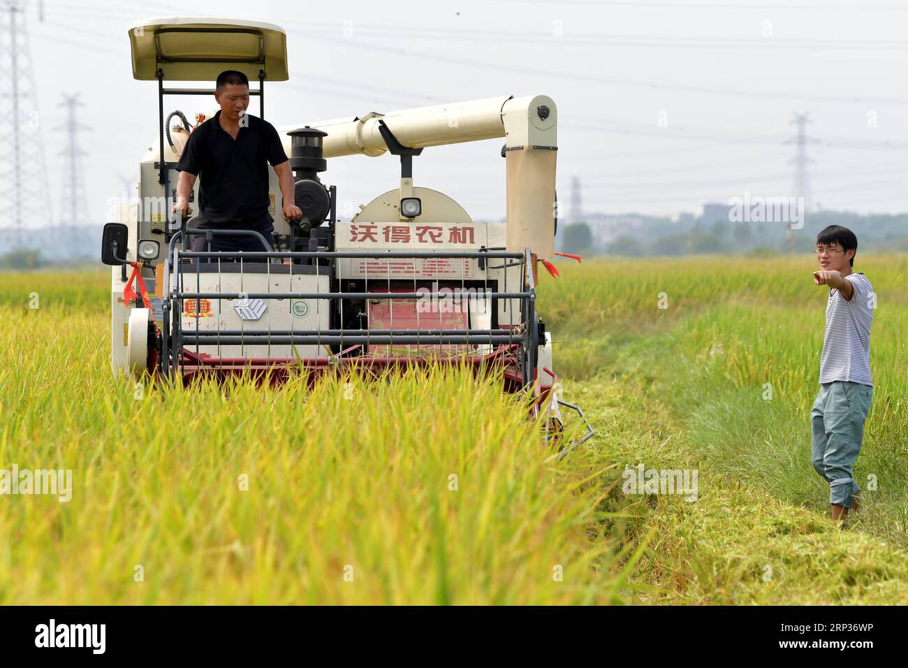 Later zhou hi-res stock photography and images - Alamy